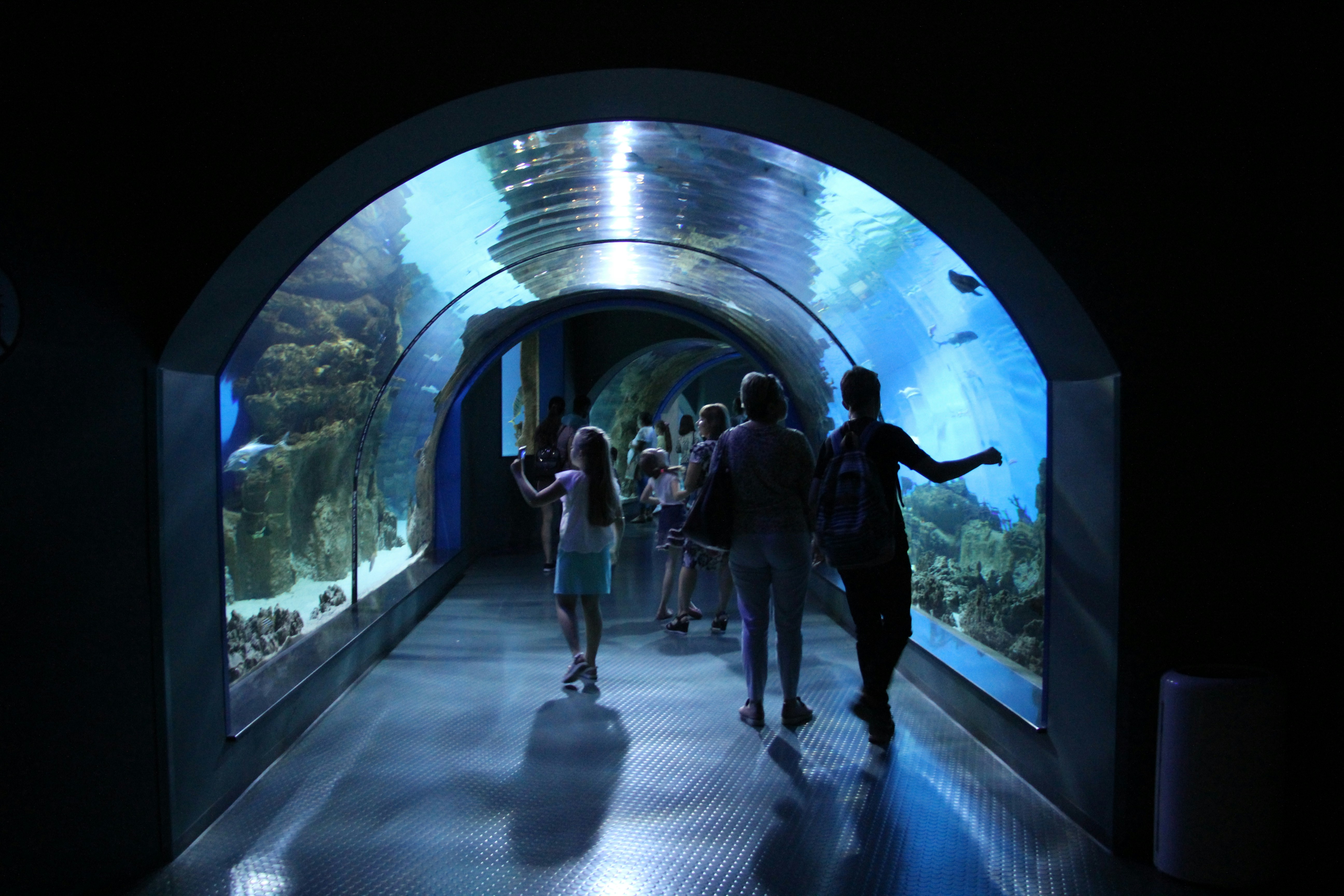 Photo by Tasha Kostyuk with Canon EOS 600D