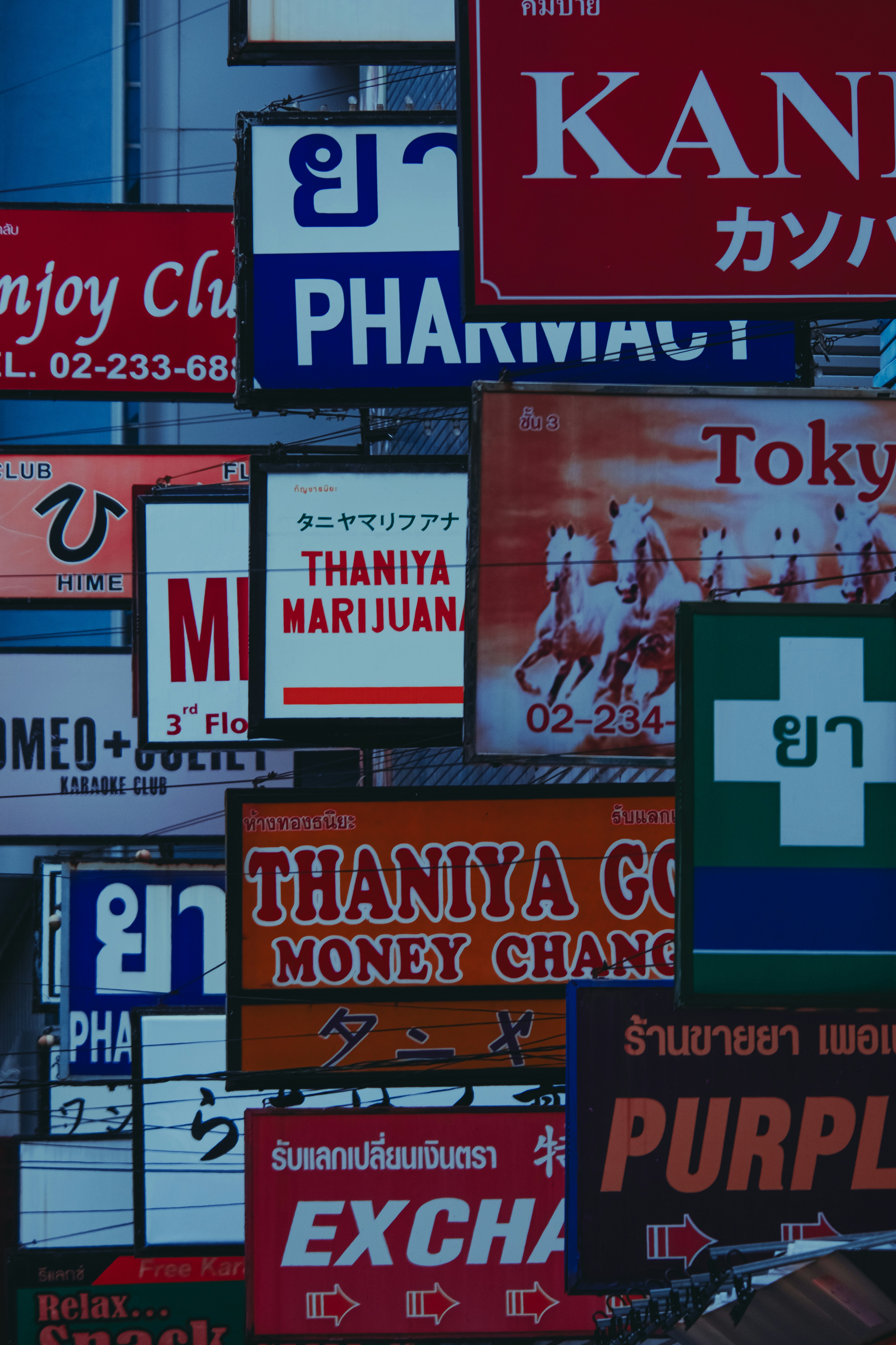 A bunch of signs that are on the side of a building photo – Free Animal ...