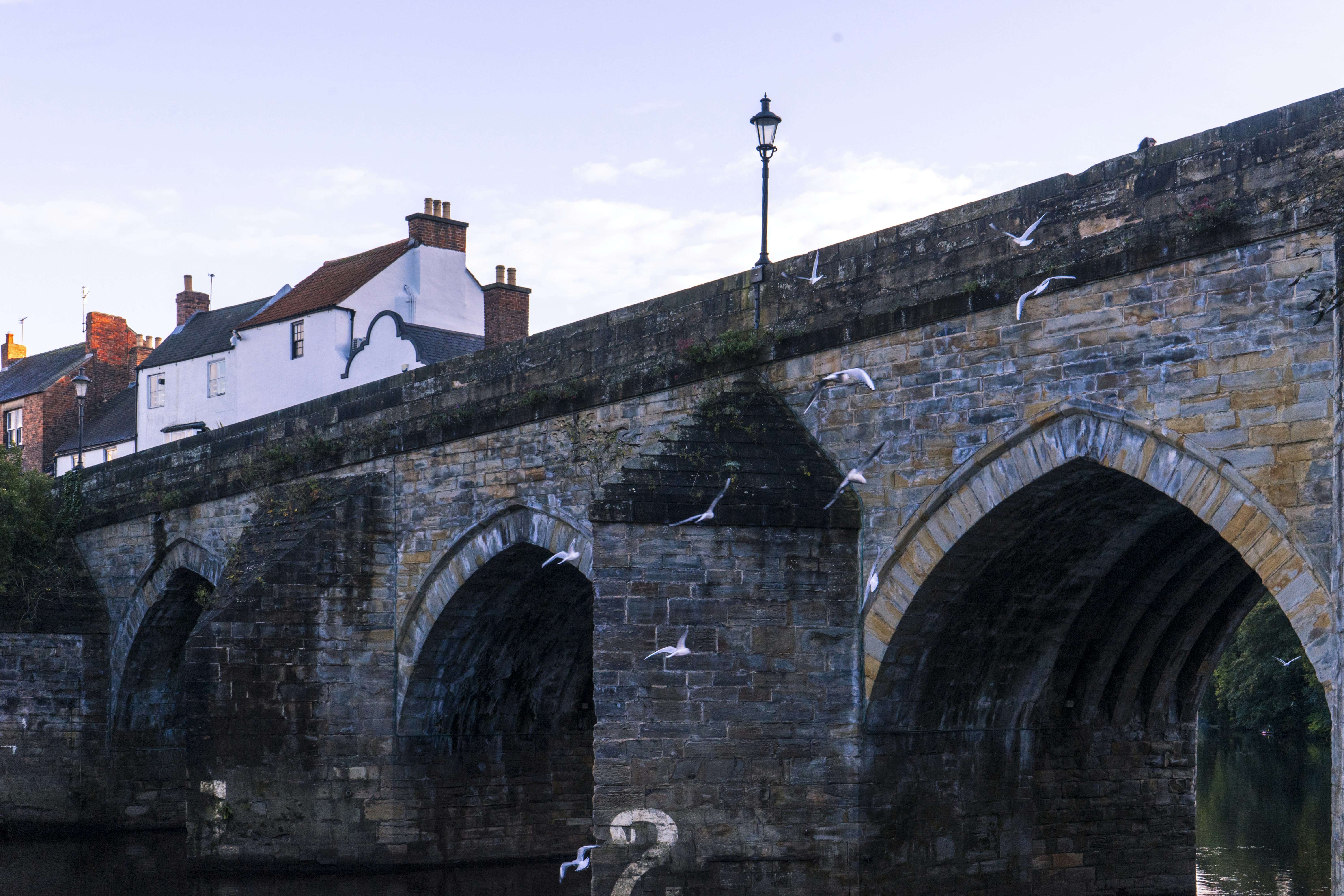 Gulls Over the Stone-Arched Bridge at Riverfront