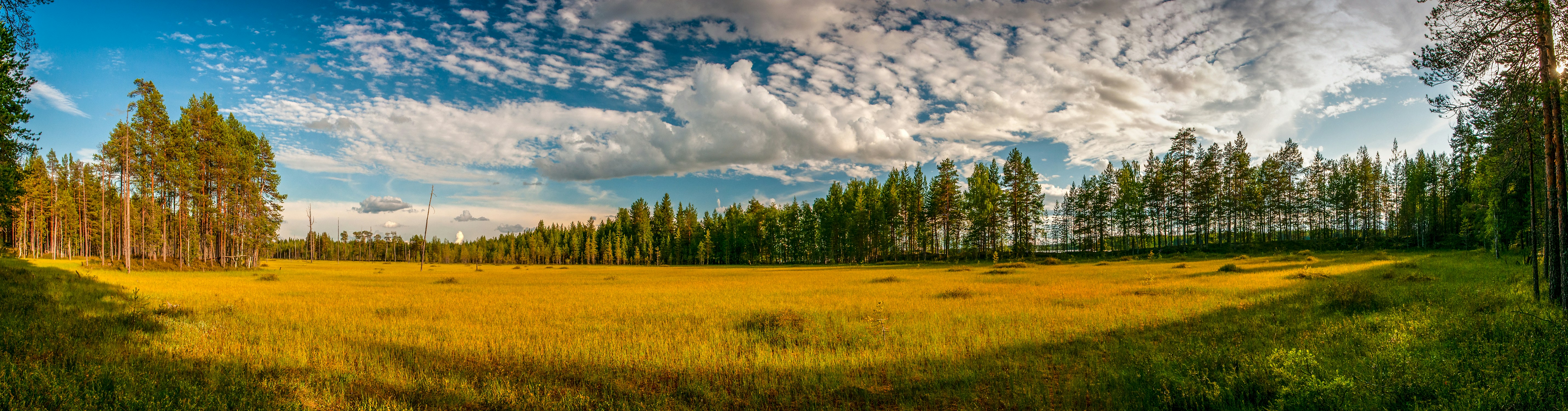 A wide open field with trees in the background photo – Free Landscape ...