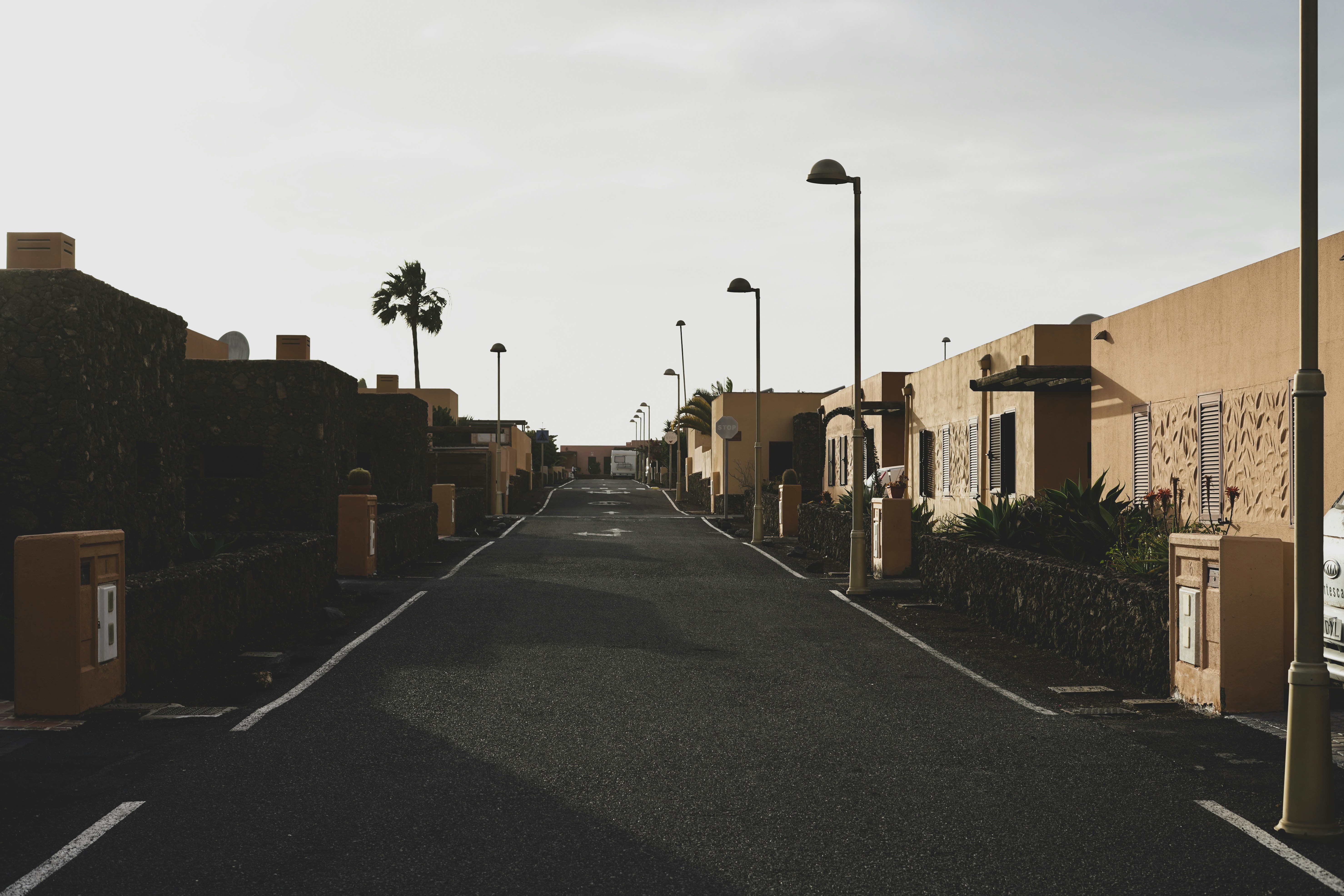 Wide street lined with small houses under warm golden hour light.