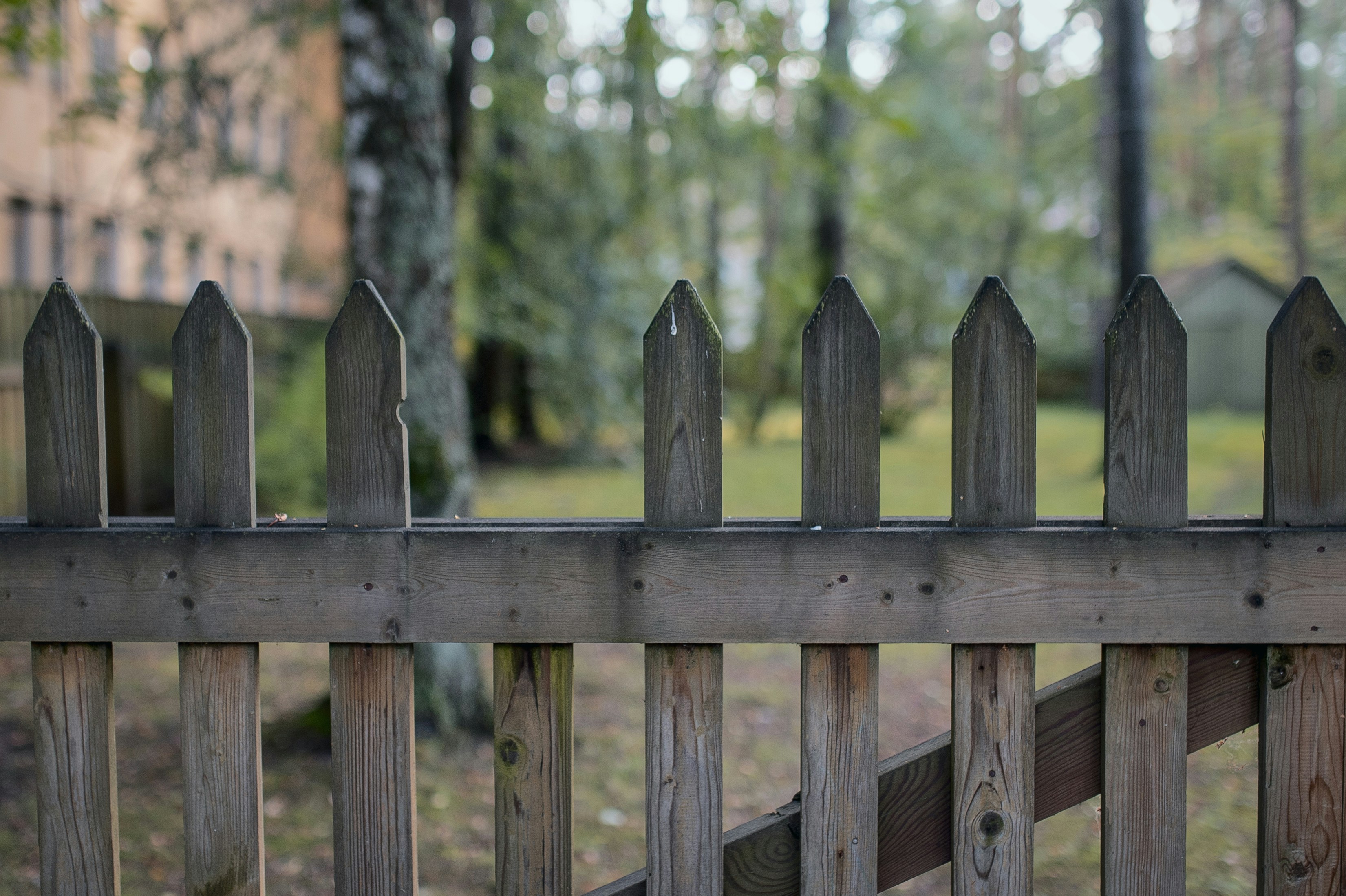 Photo by Ivan Stepanov with Nikon Df