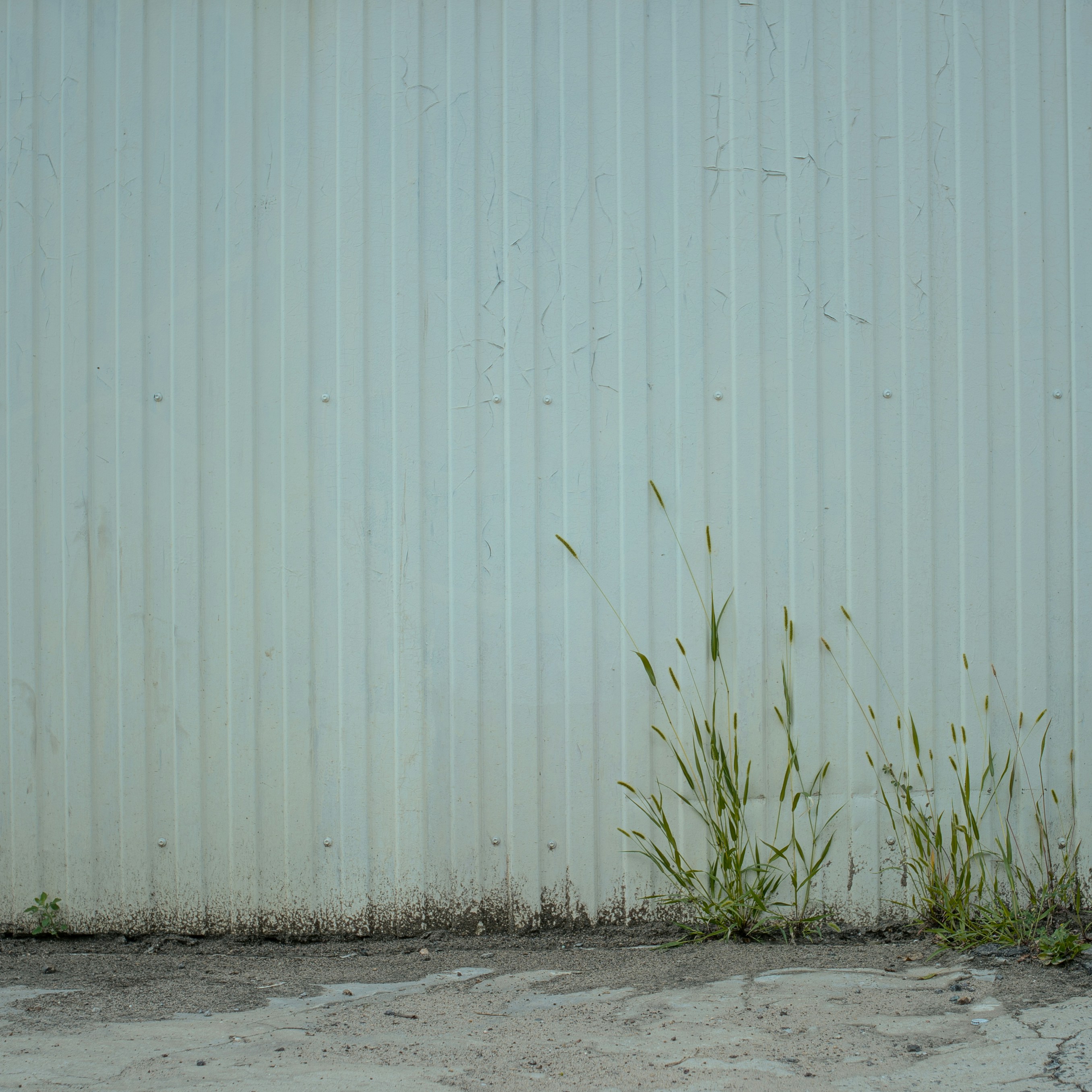 A red fire hydrant sitting next to a white wall photo – Free Interior ...