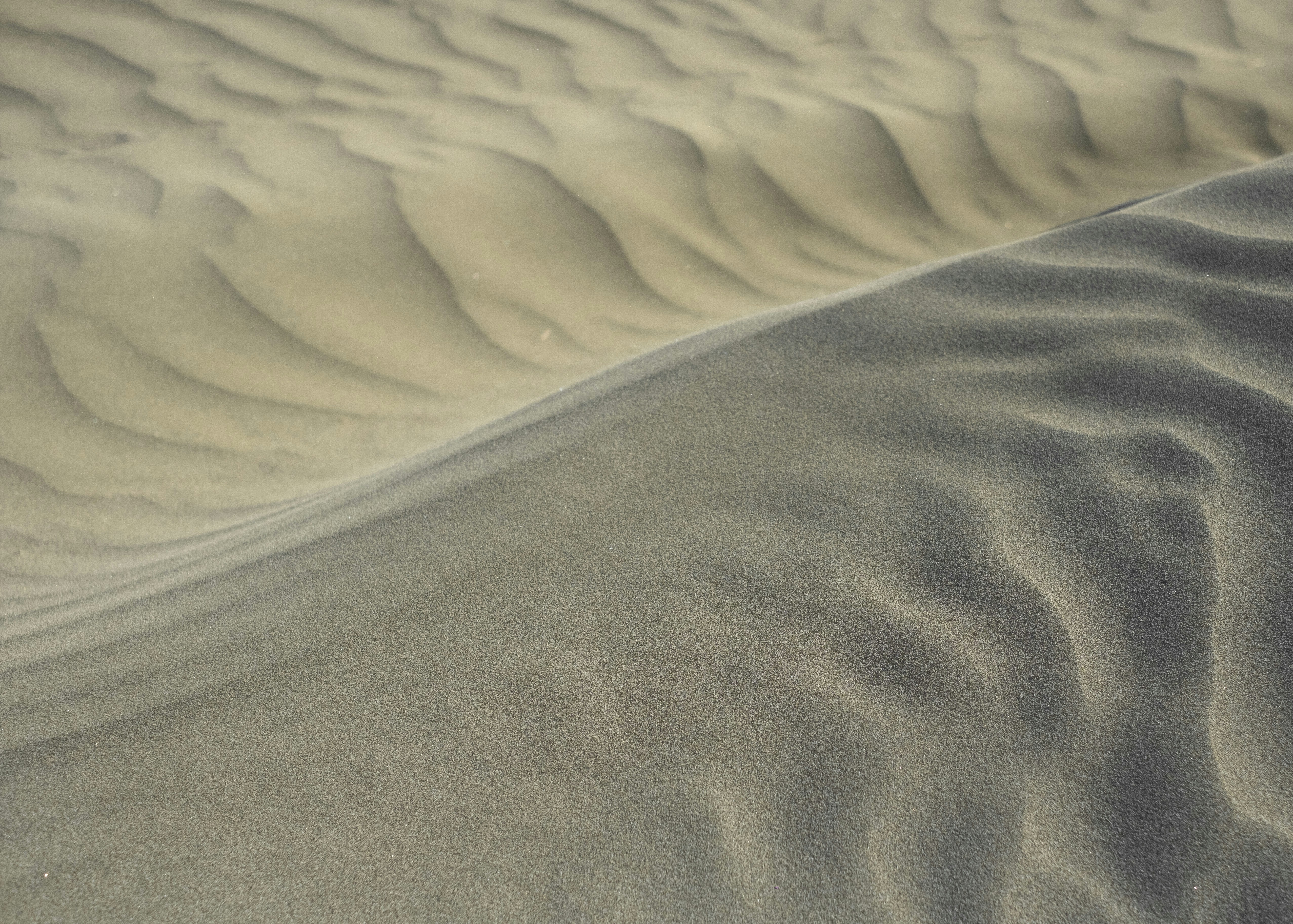 A sandy area with a few trees in the background photo – Free Cyprus ...