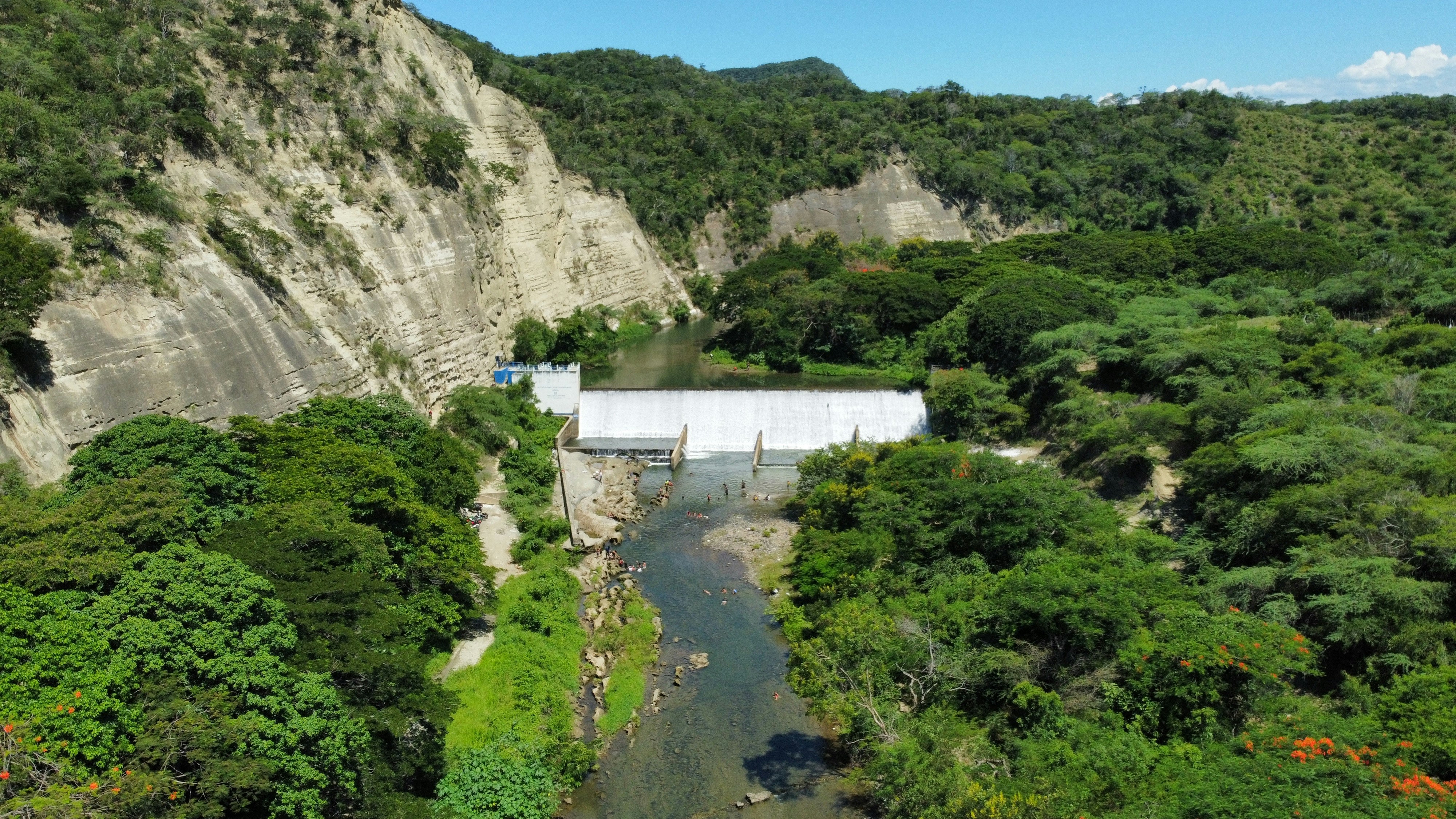 Foto Un río que atraviesa un frondoso bosque verde – Imagen Presa de ...