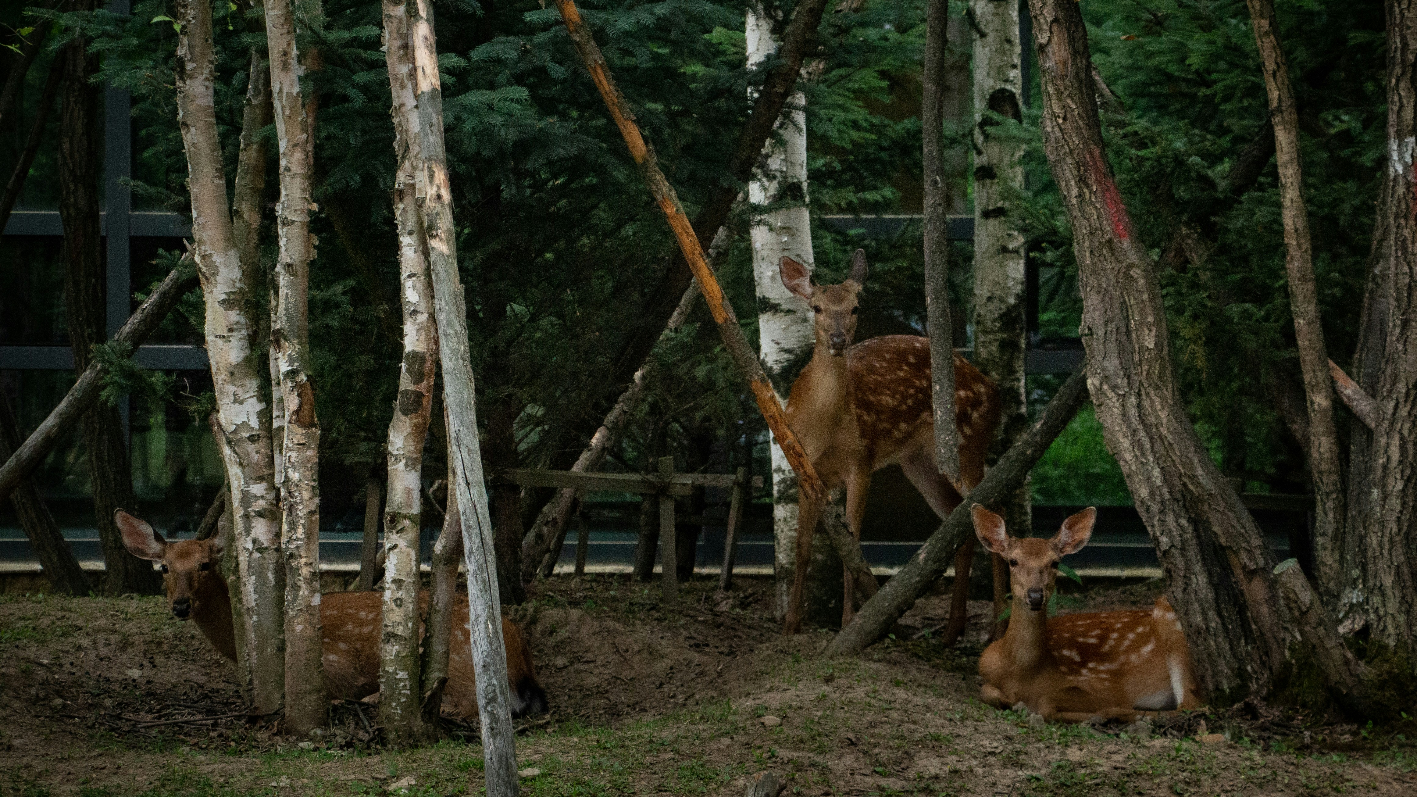 Photo by Yanping Ma with Canon EOS 700D