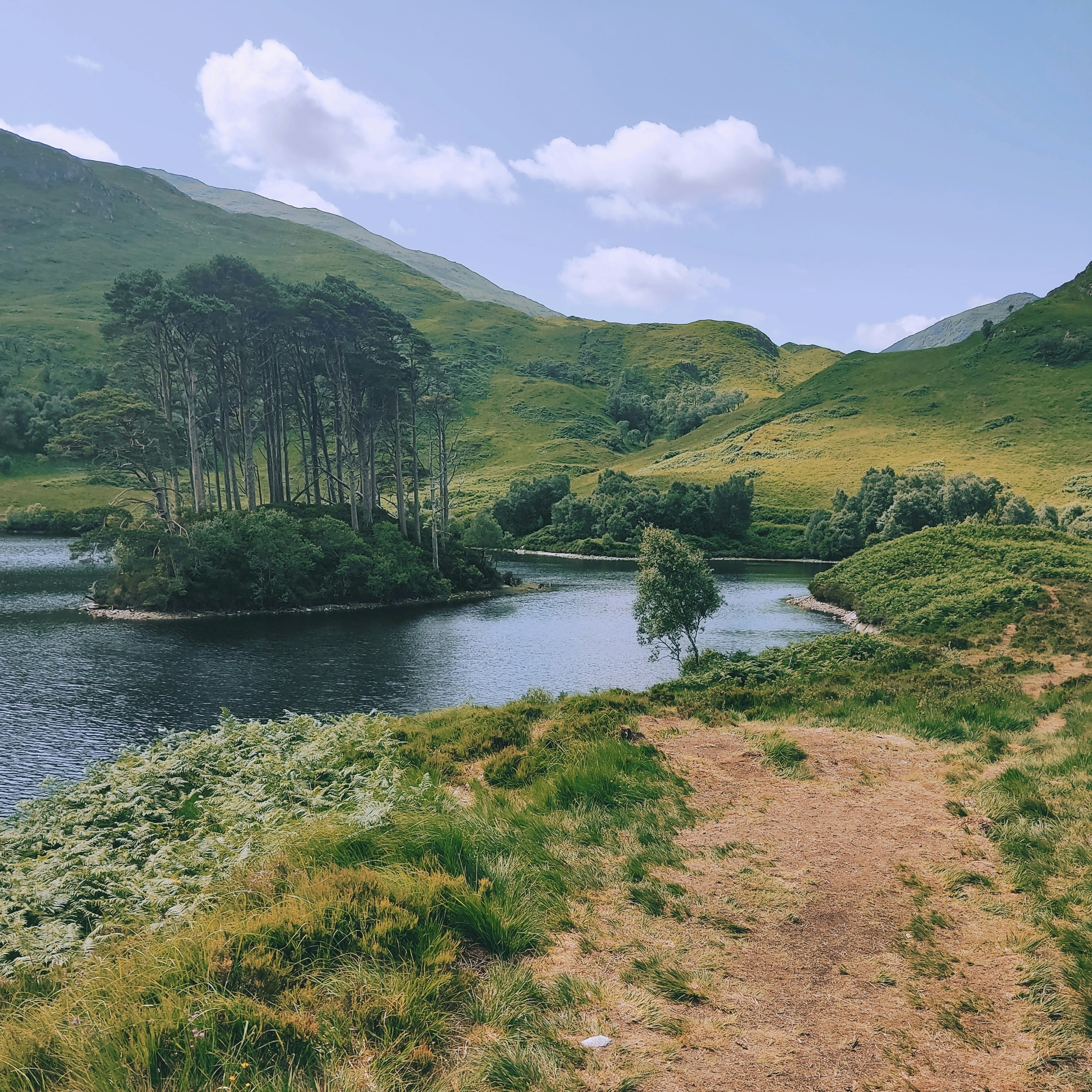 Natalia Rudomin (@rudymental) | Unsplashフォトコミュニティ