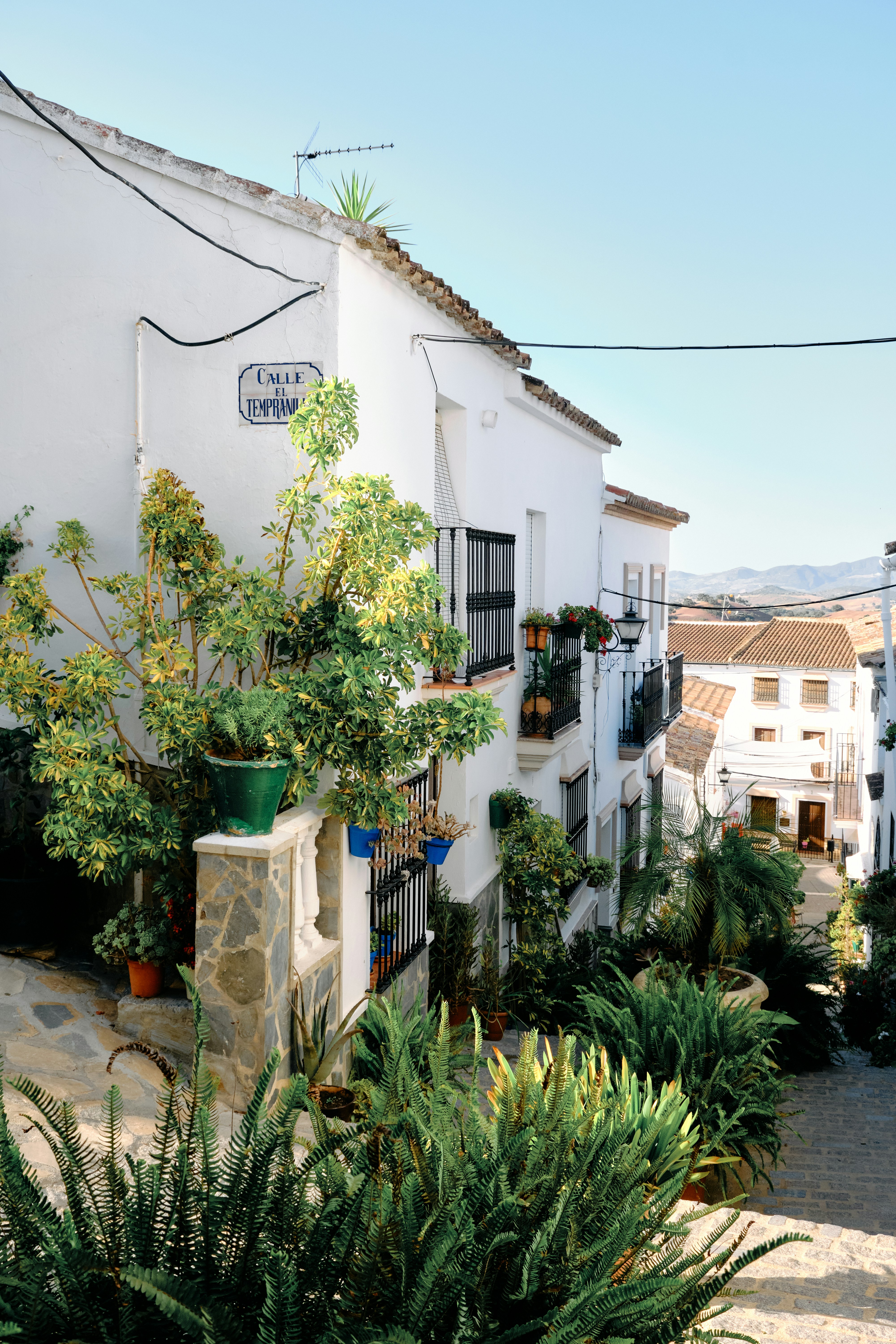 Flowery street in a typical Andalusian village