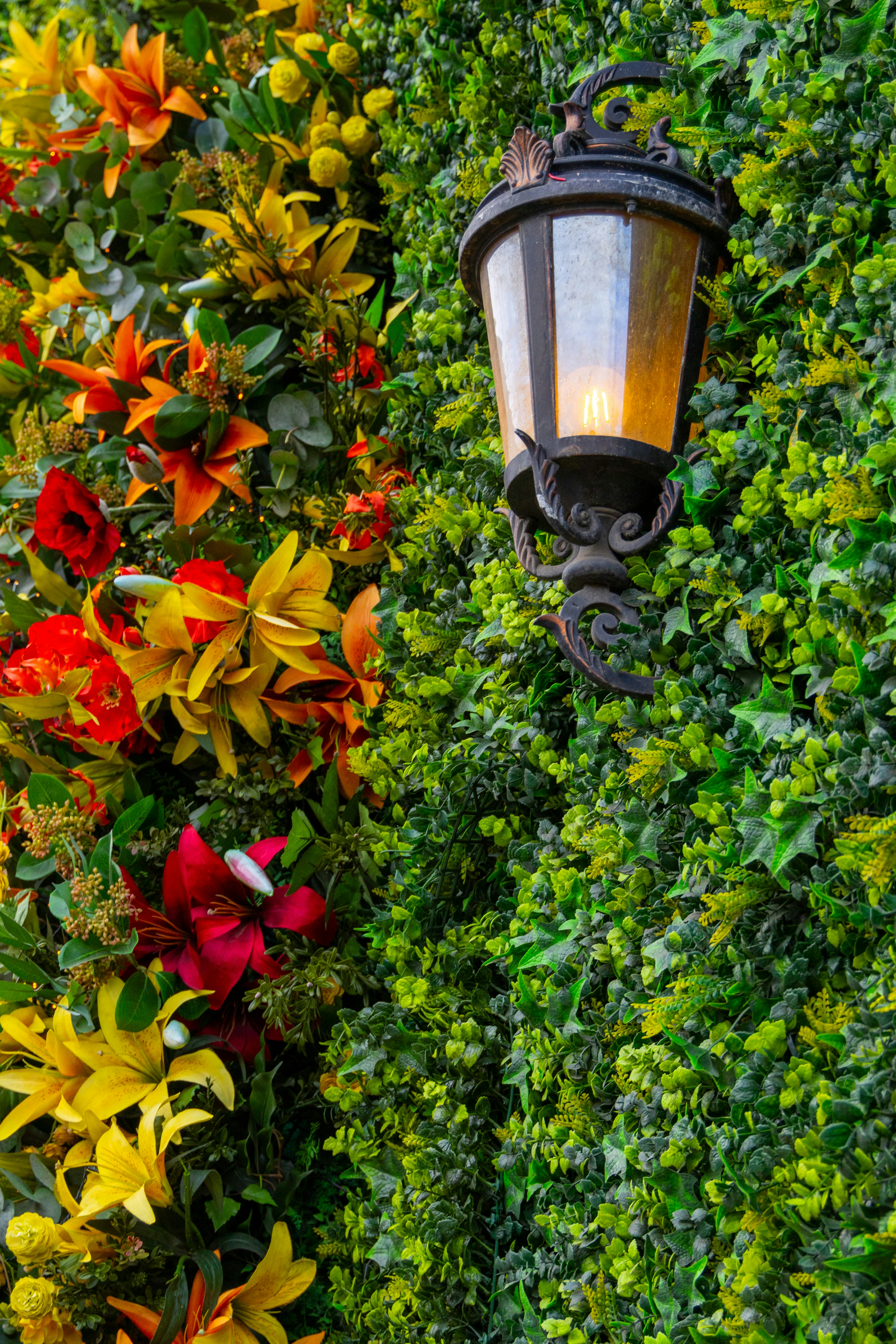 Lantern Amid Ivy: A Warm Glow Among a Burst of Floral Color