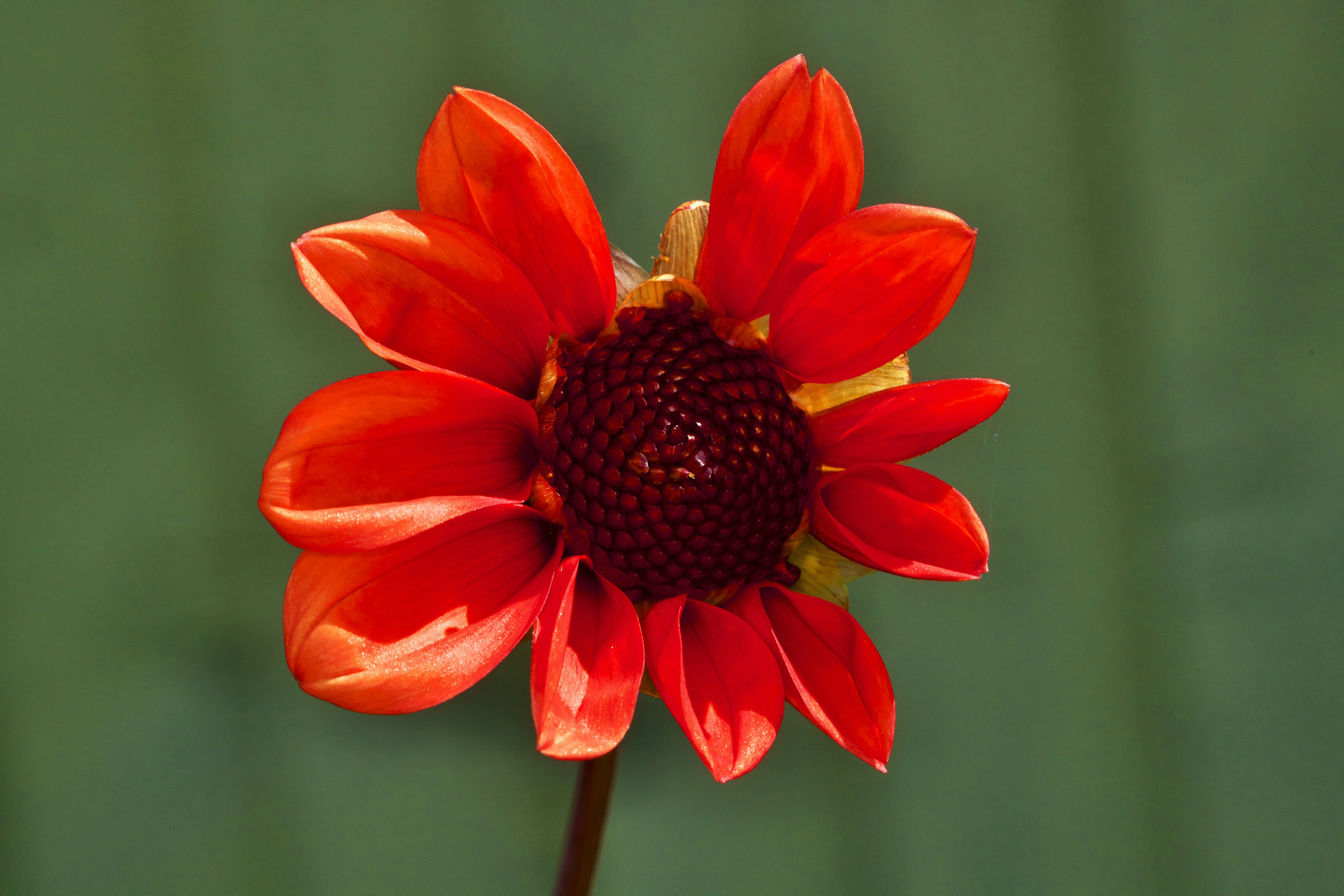 Photo by James Wainscoat with Canon EOS R5