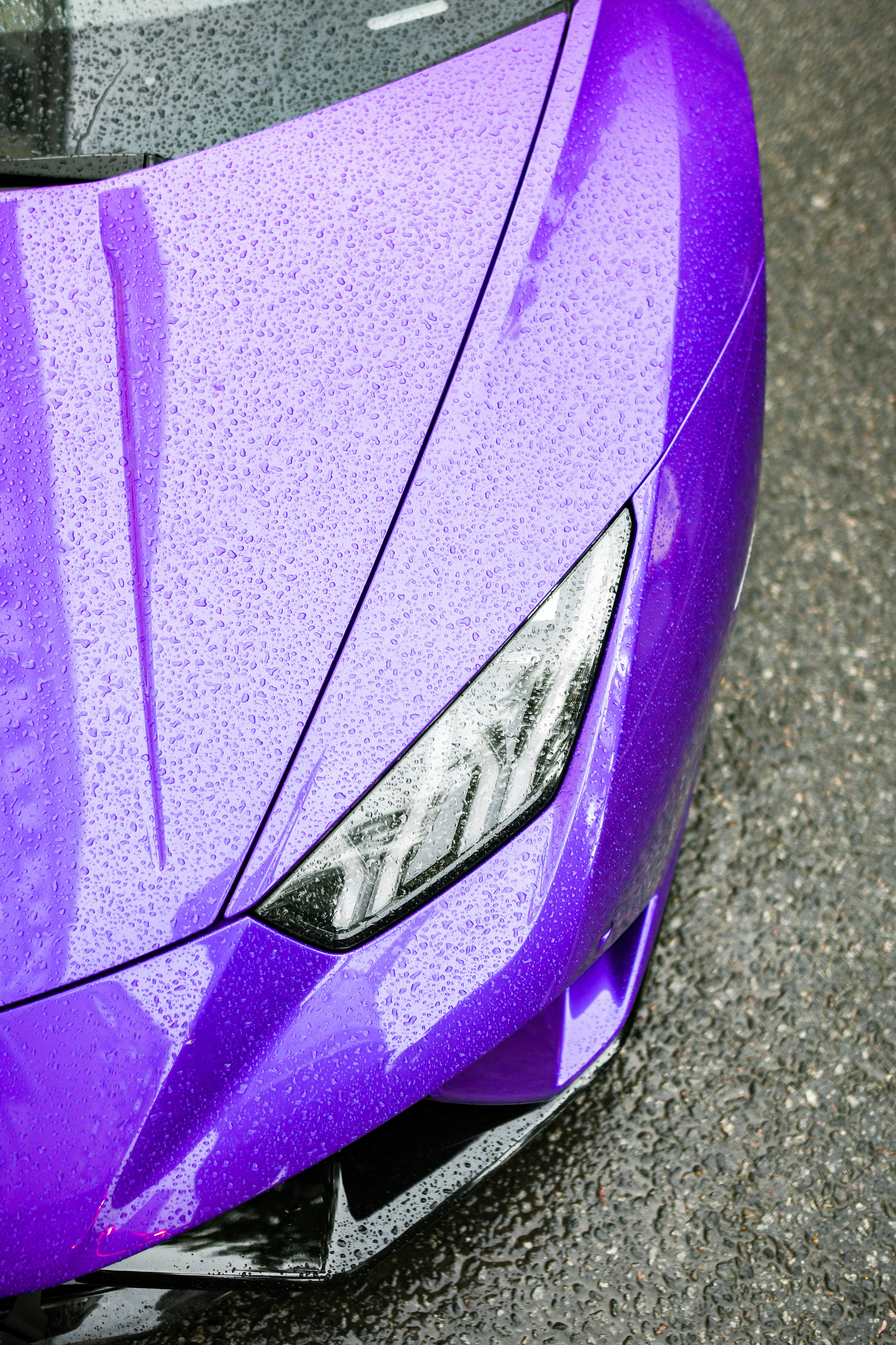 Violet Velocity: Rain-dusted prow of a purple exotic on wet pavement