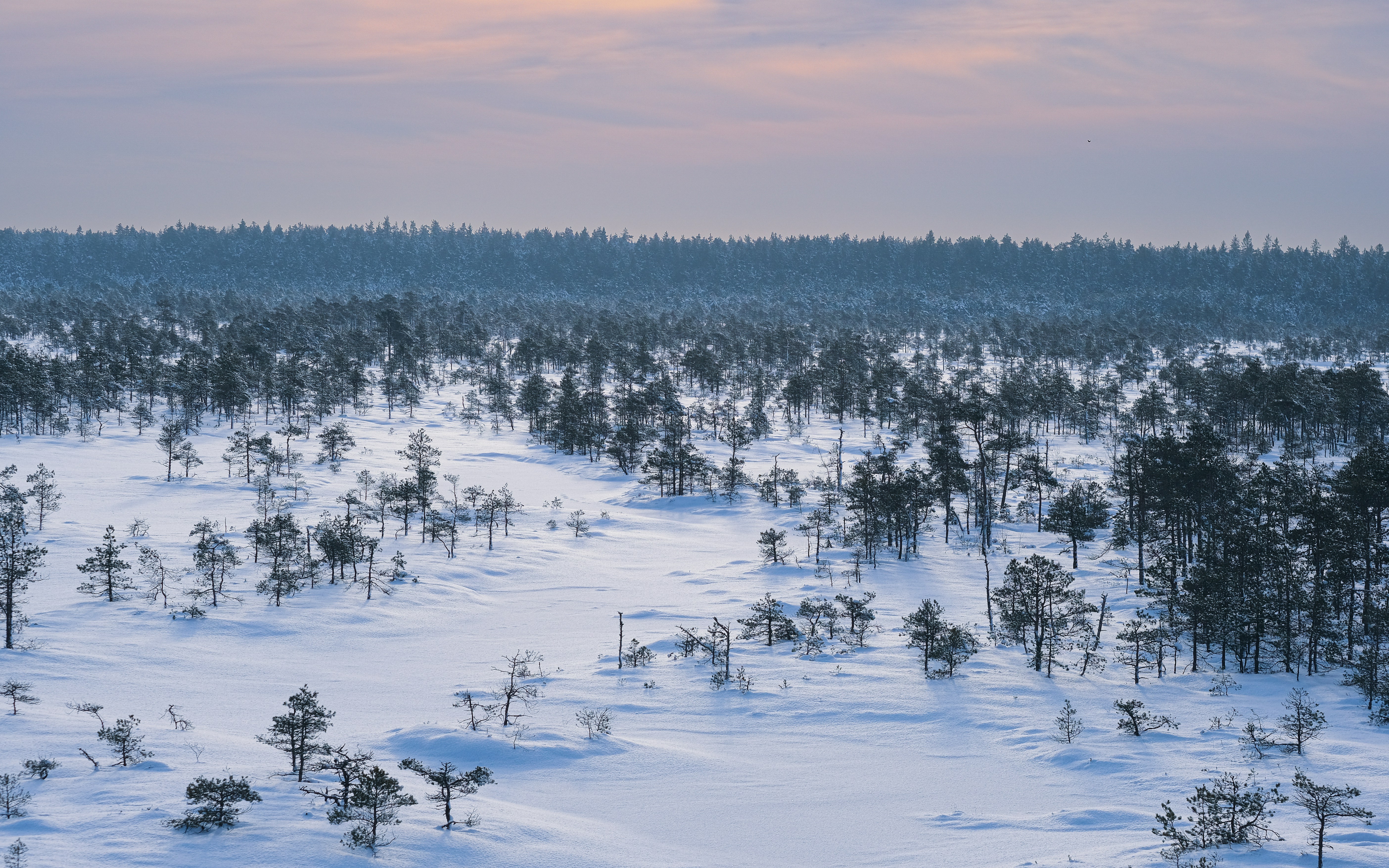Endla Raba Photos | Télécharger des images gratuites sur Unsplash