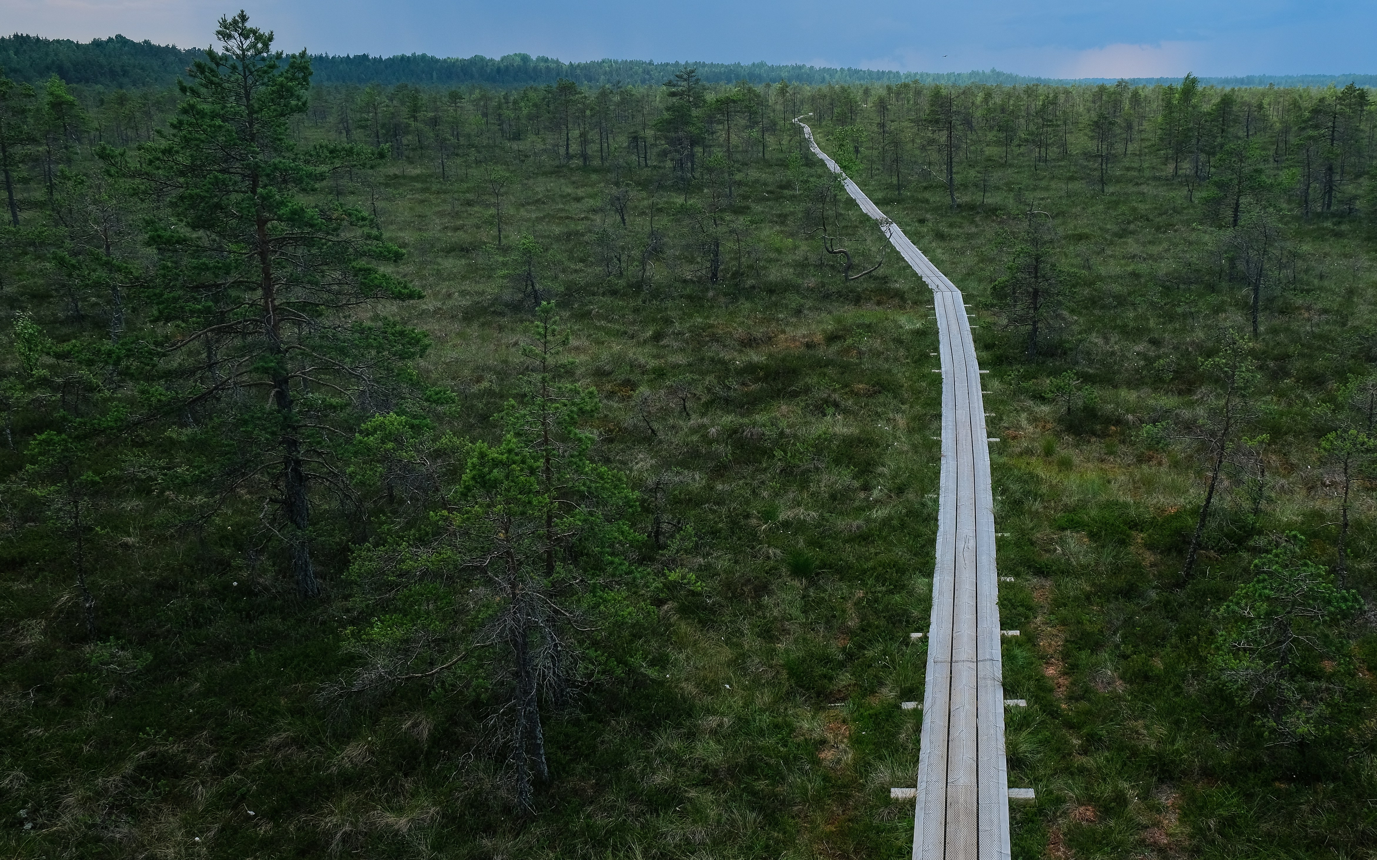 A wooden boardwalk stretching through Mukri Bog, Estonia. | an aerial view of a road in the middle of a forest