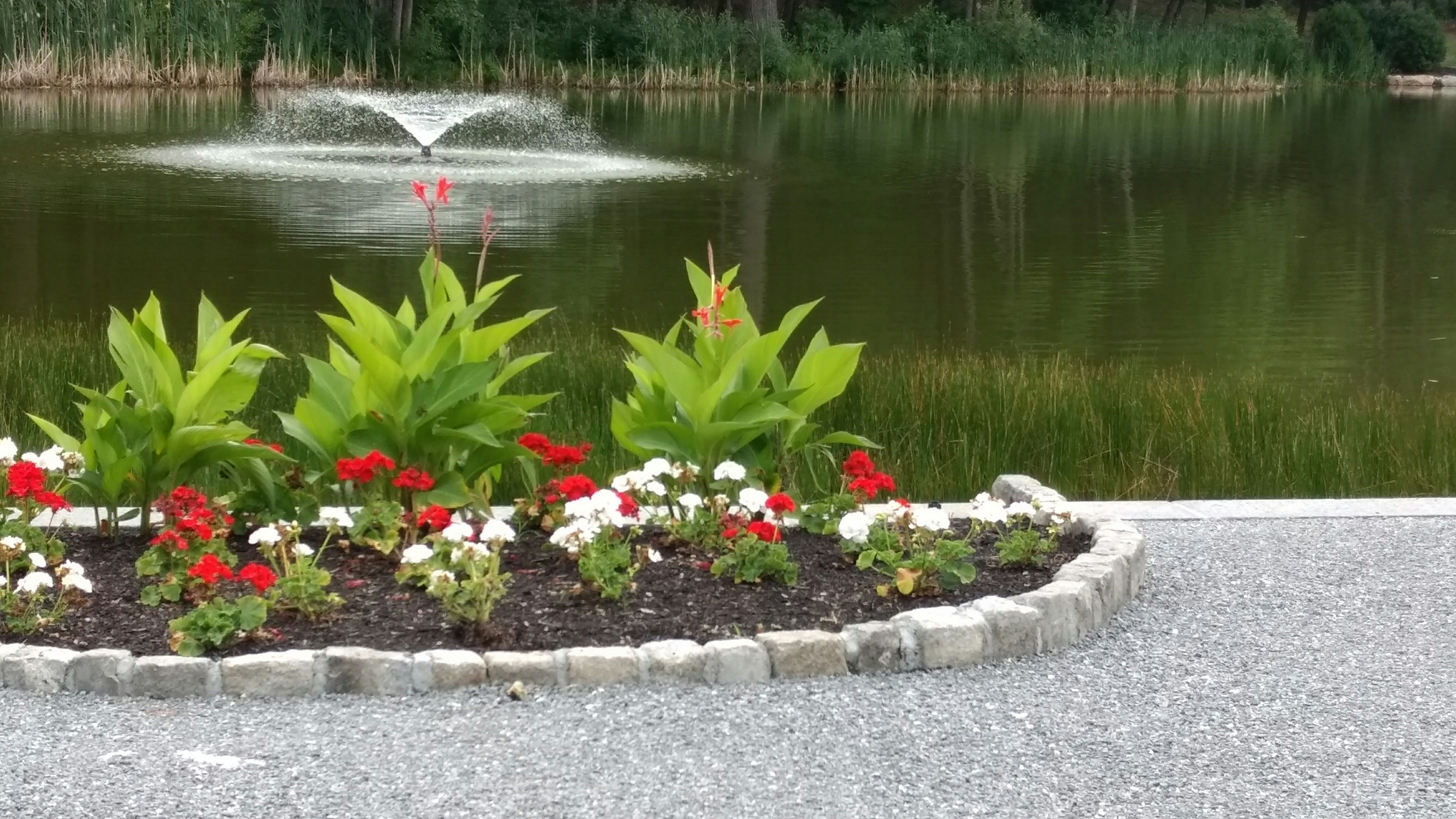 A curved flower bed borders a gravel path along a tranquil pond, with red and white blooms in the foreground. A fountain punctuates the water's surface in the background.