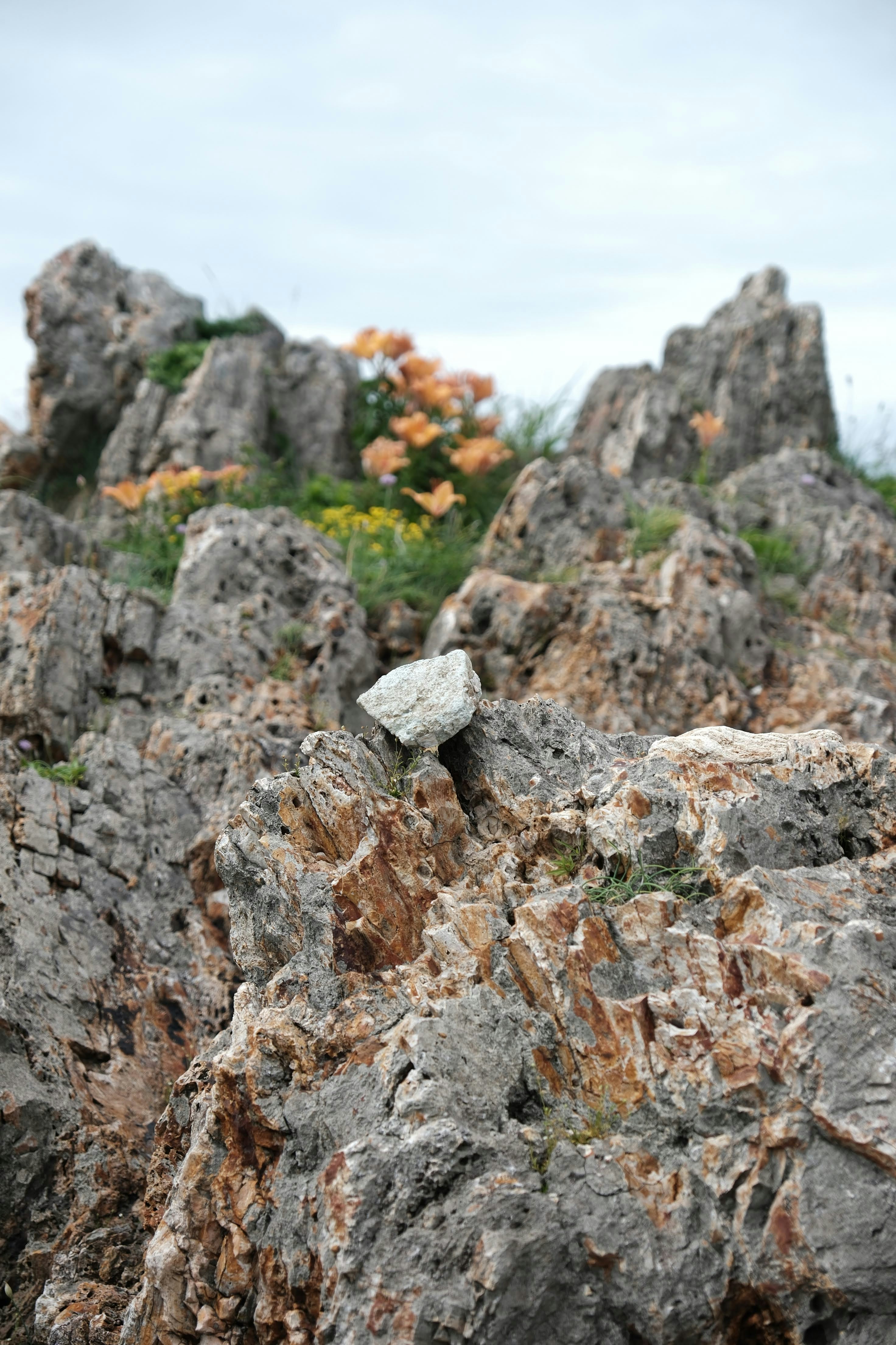Lone White Stone on a Ragged Ridge