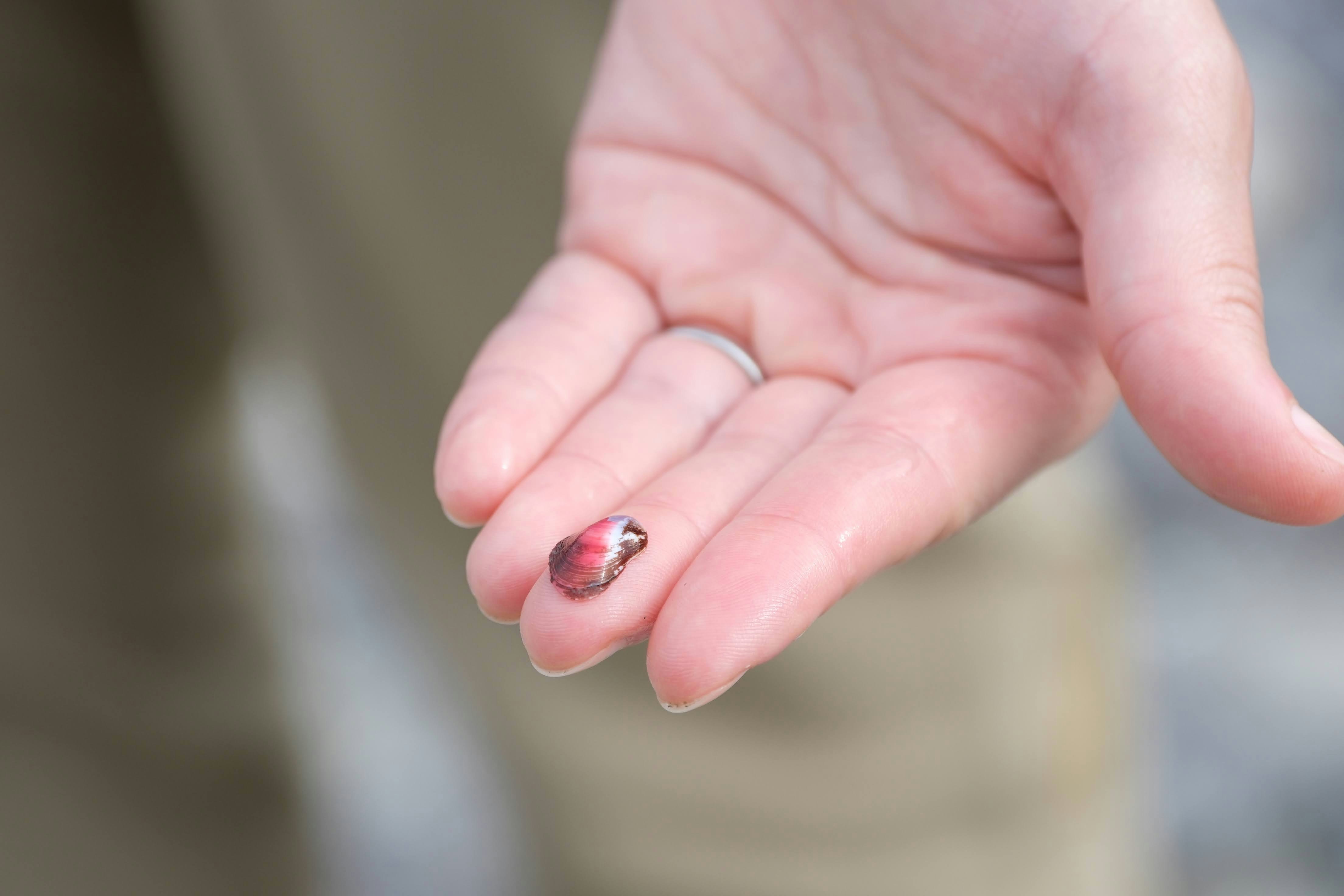 Crimson Bead on a Delicate Fingertip