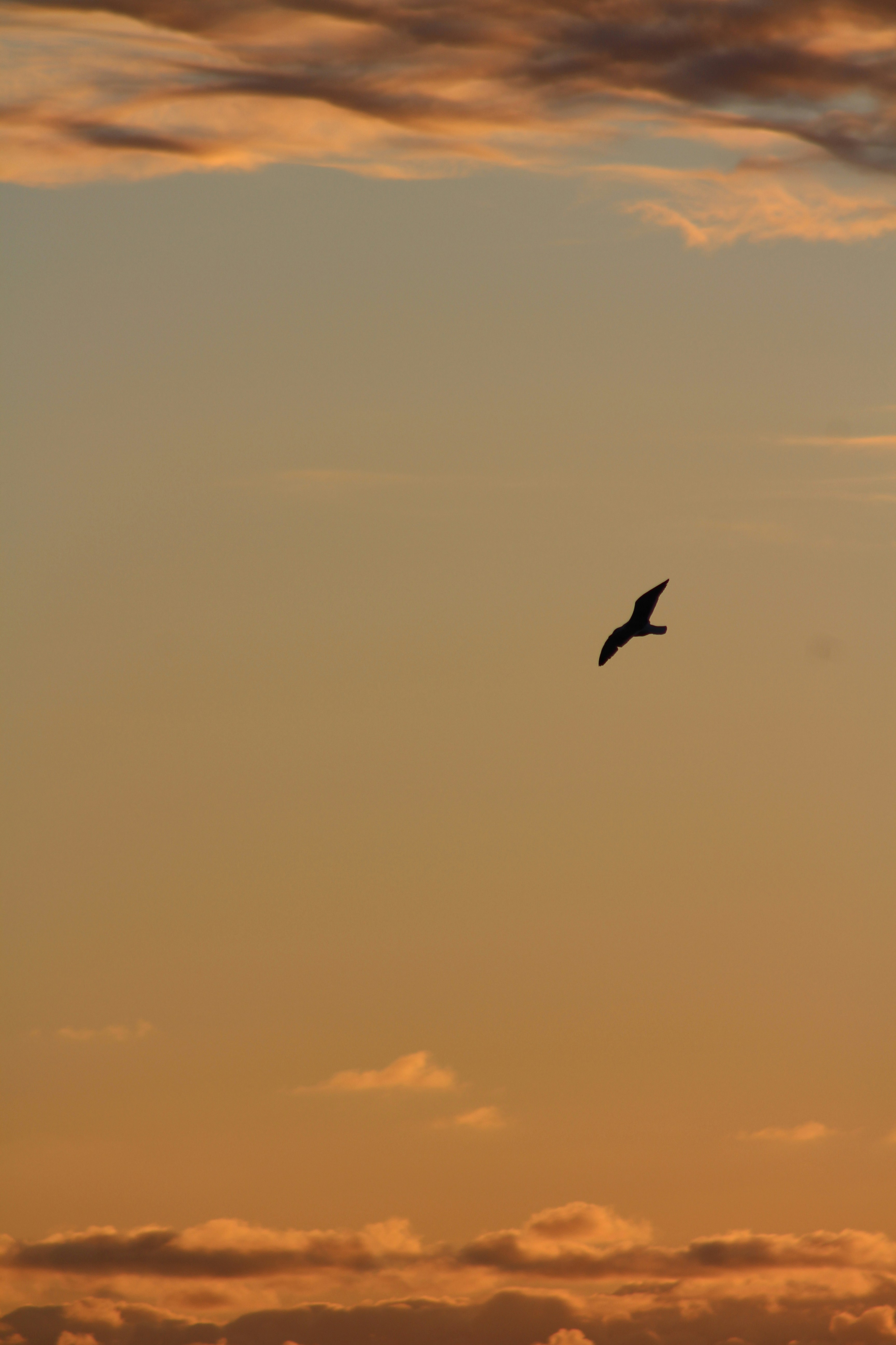 Photo by F F with Canon EOS 1200D