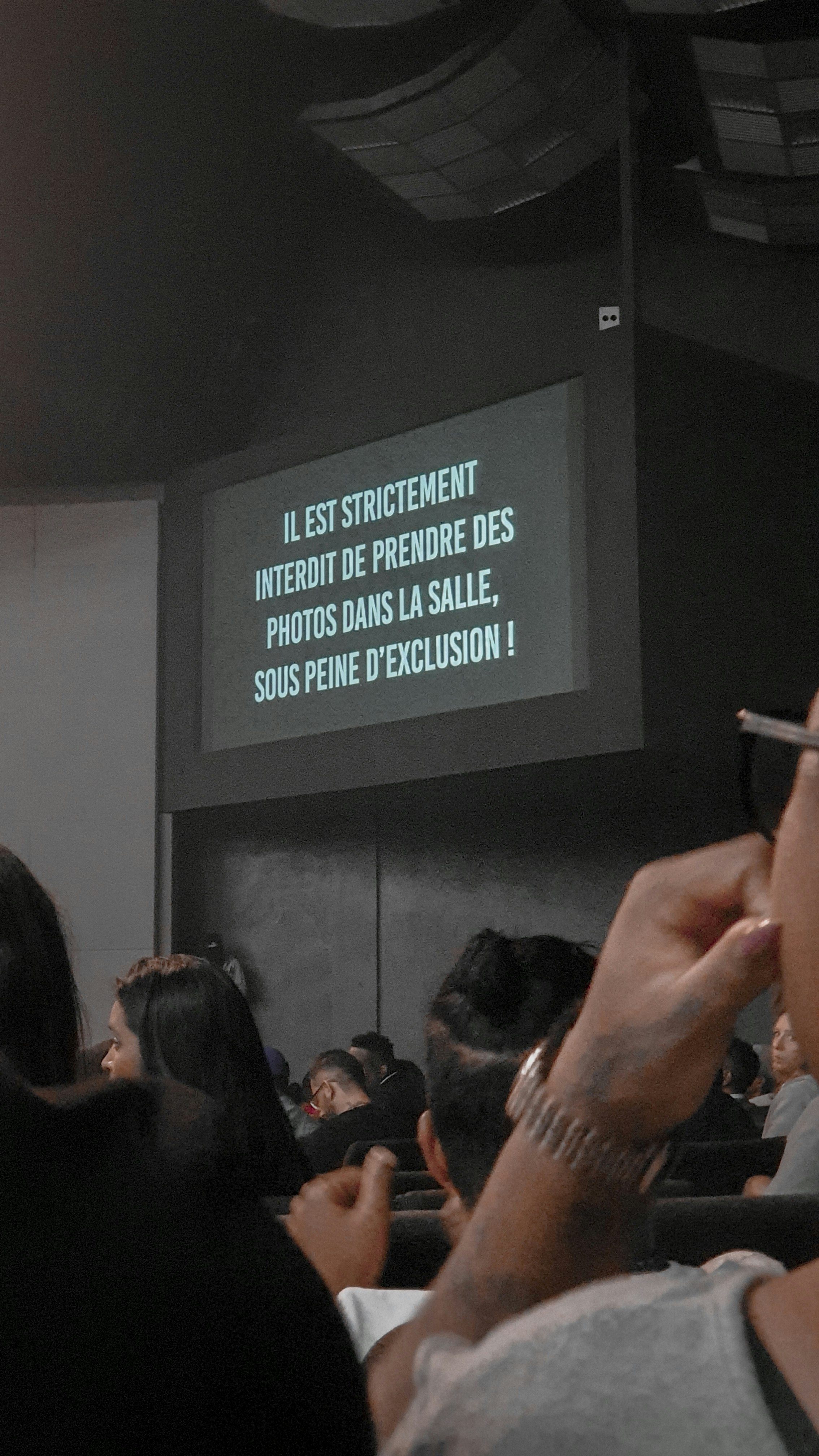 No-Photos in the Dark: The Screen and Silence of a Theater