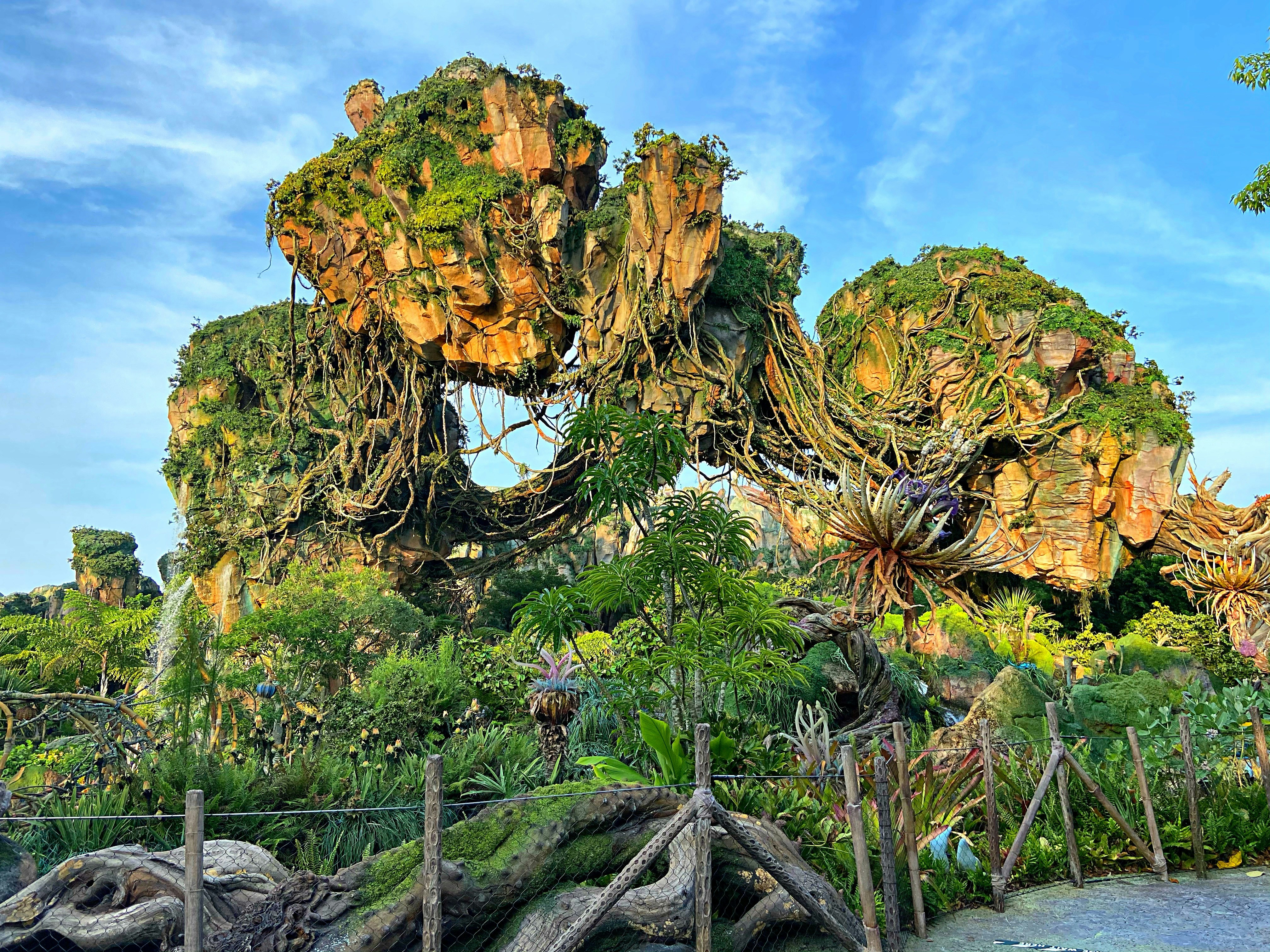 Photo by Dean Gibbons with Apple iPhone 11