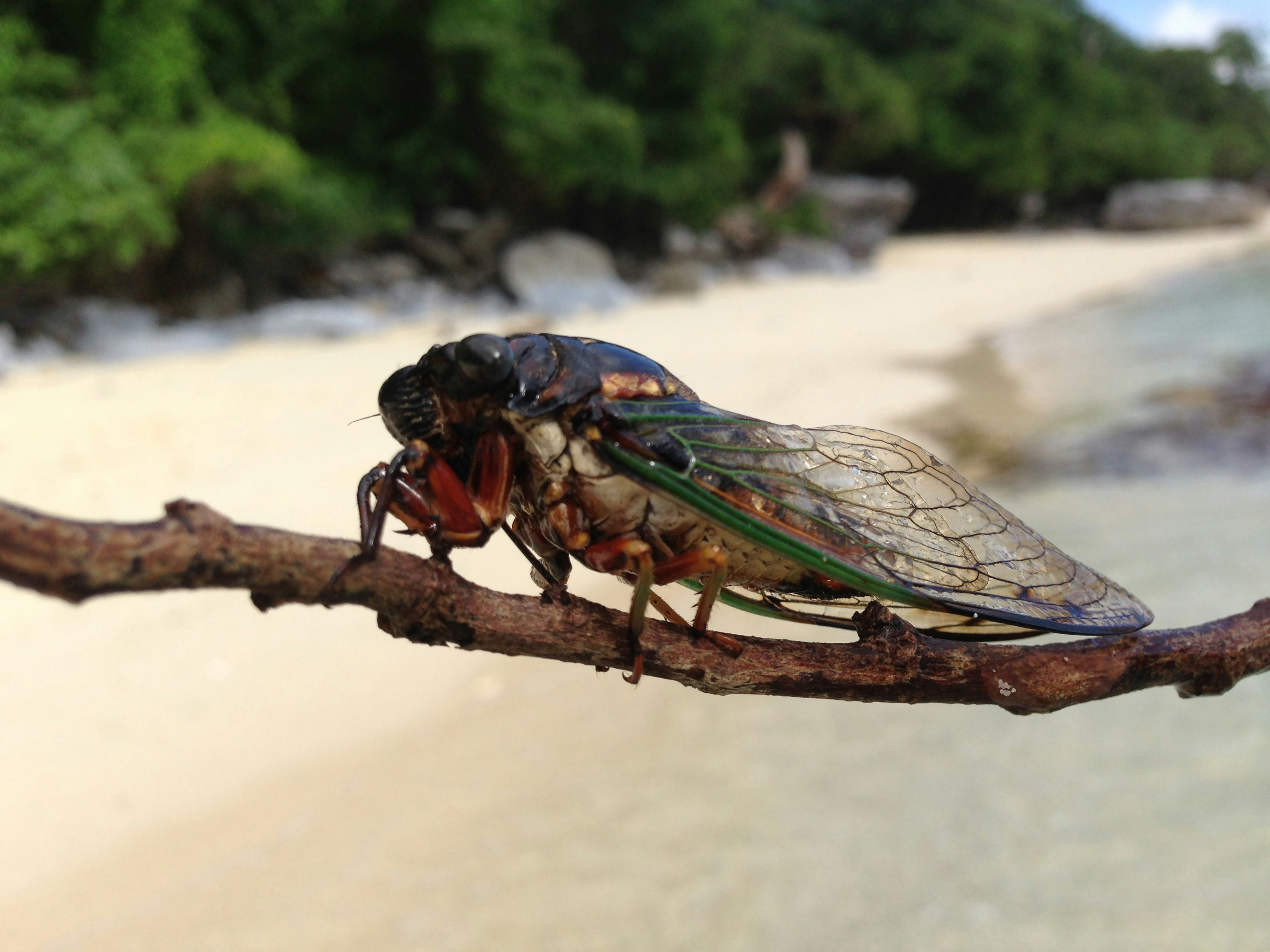 Photo by Jonathan Ramalho with Apple iPhone 5