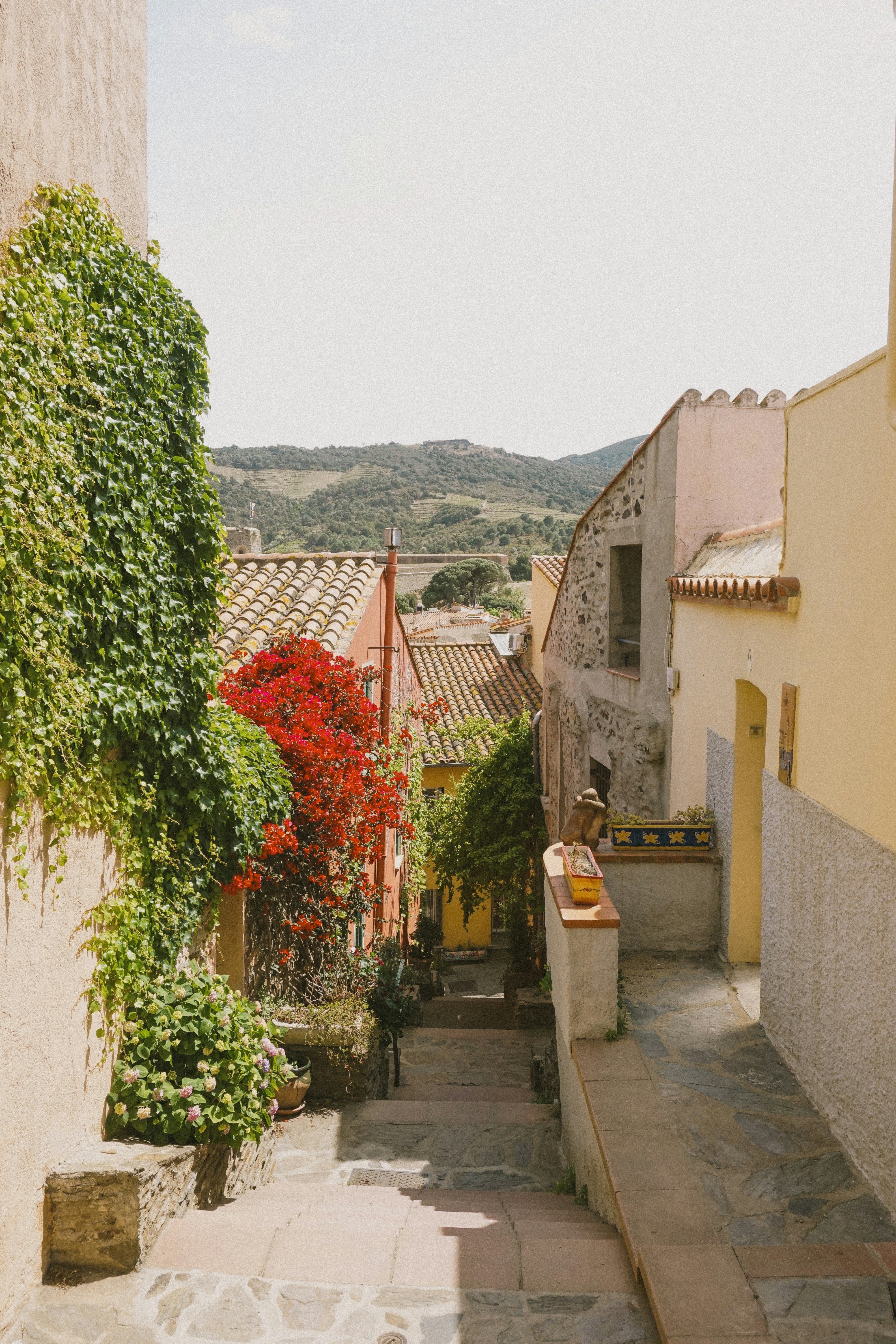 Ivy-Wrapped Staircase Through a Sunlit Mediterranean Village
