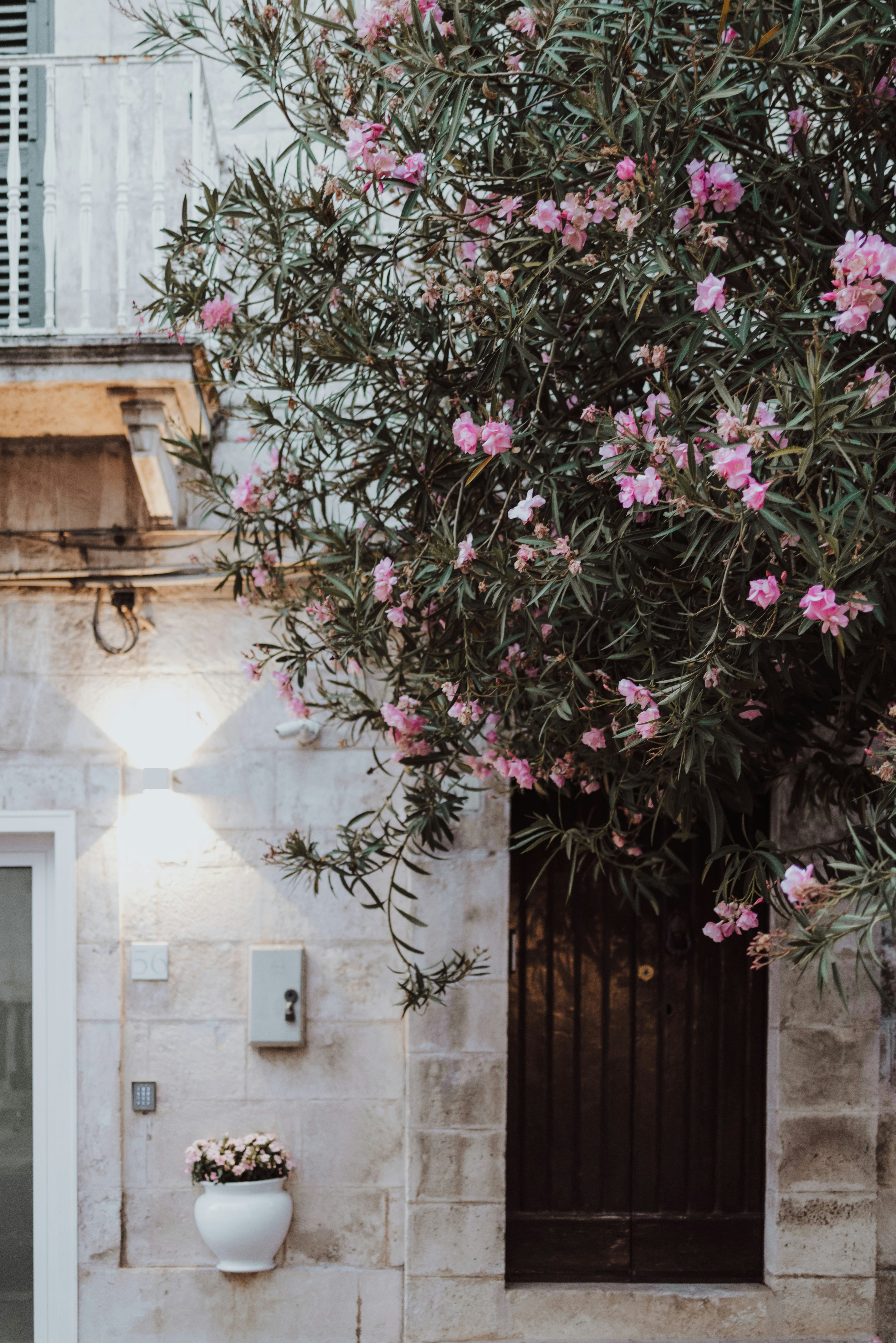 Italy | 100+ best free photos on Unsplash