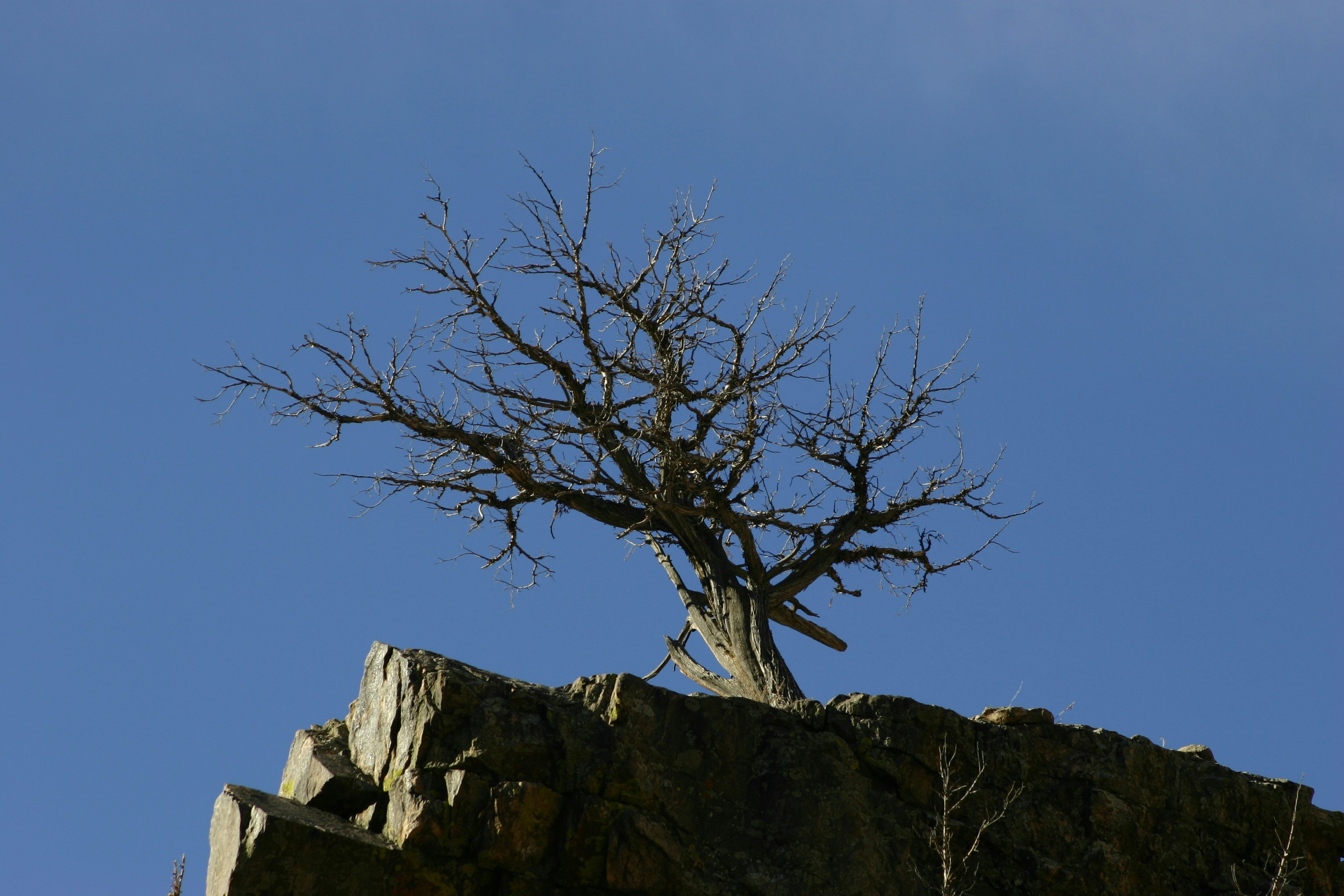 Sample photo from Canon EOS 300D