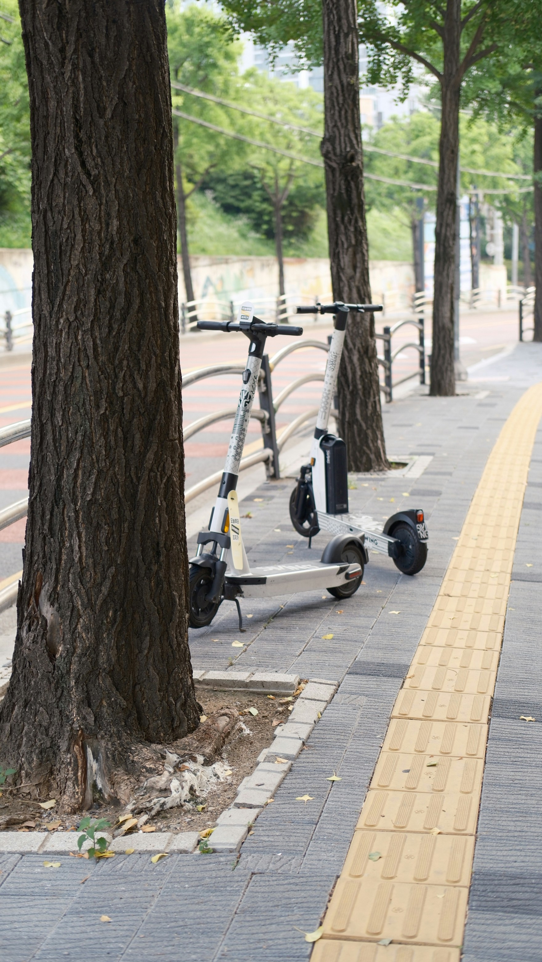 Sunlit Sidewalk: Row of E-Scooters Nestled Between Trees