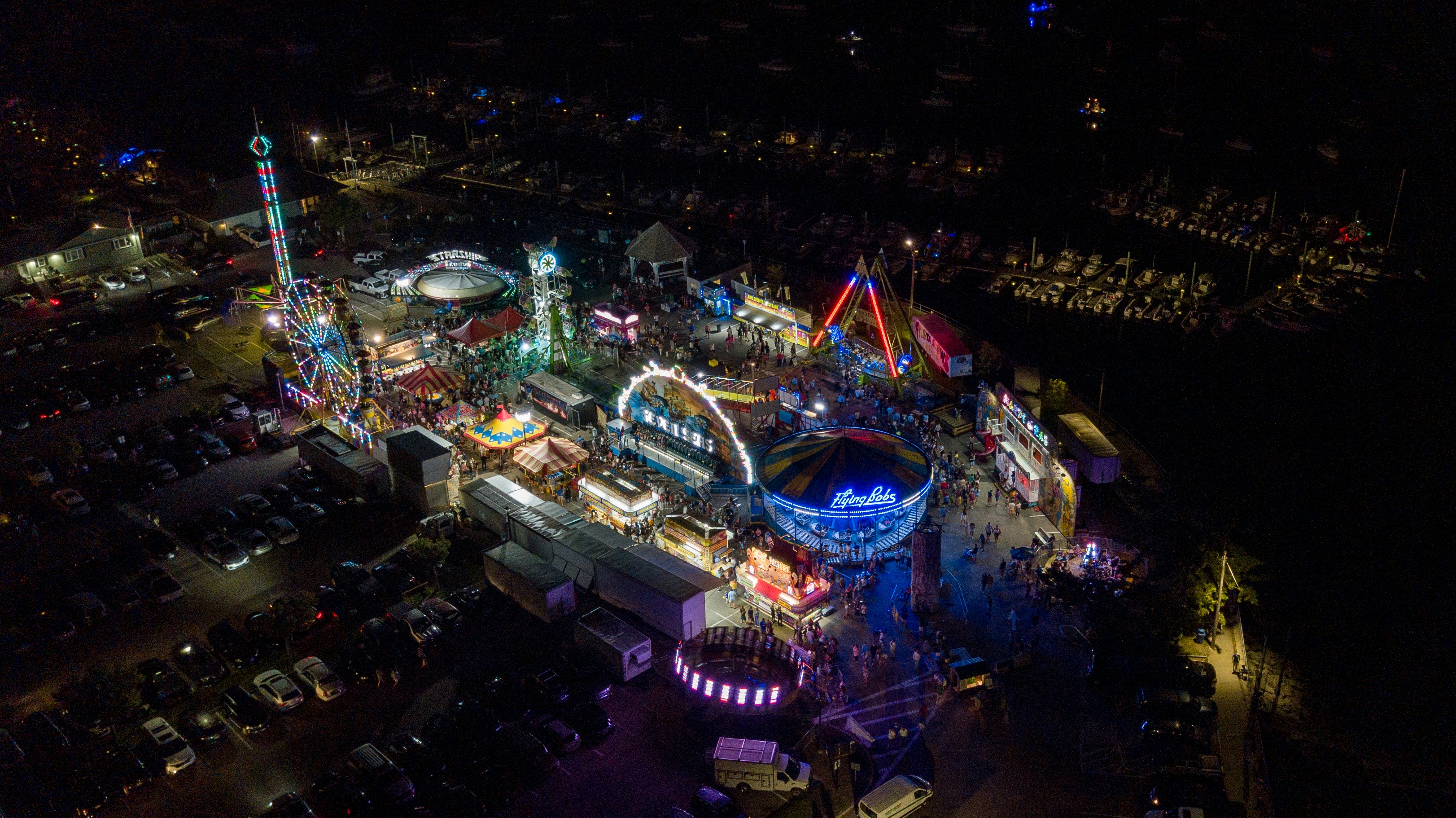 Entertainment Robotics Revolution
