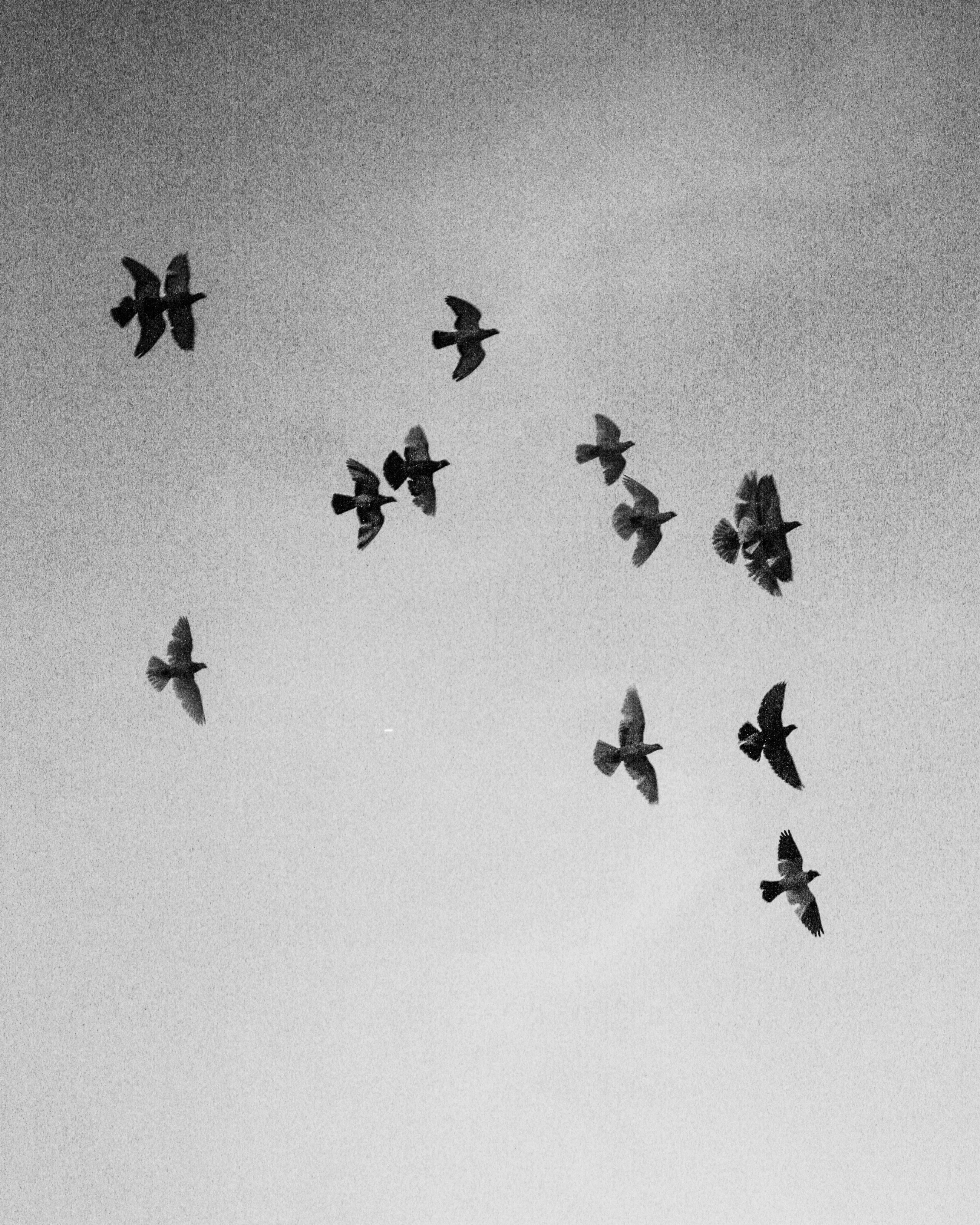 Random Things Pictures | Download Free Images on Unsplash