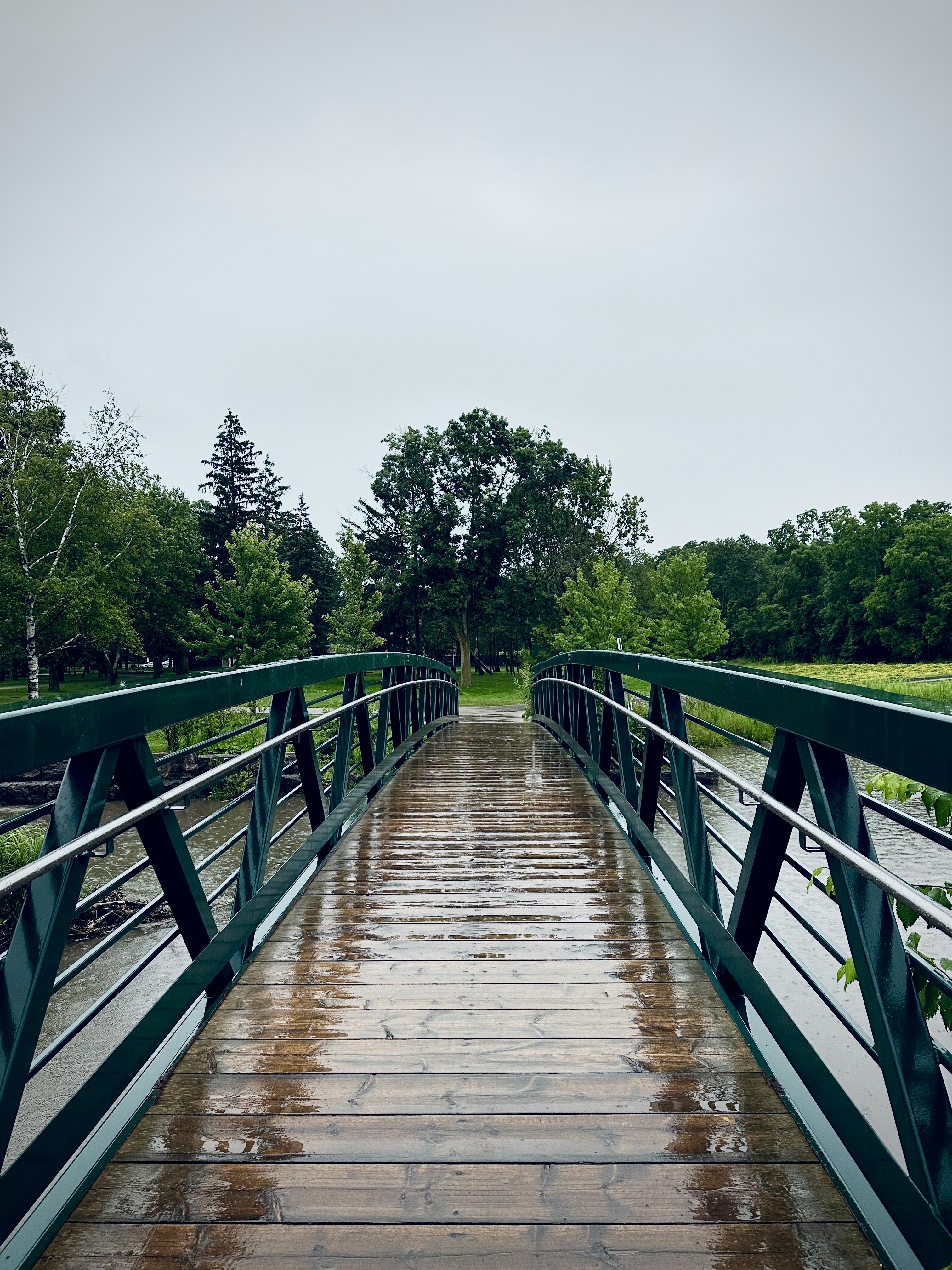 Leading Lines to a Quiet Park: Rain-Slick Bridge Under Overcast Skies