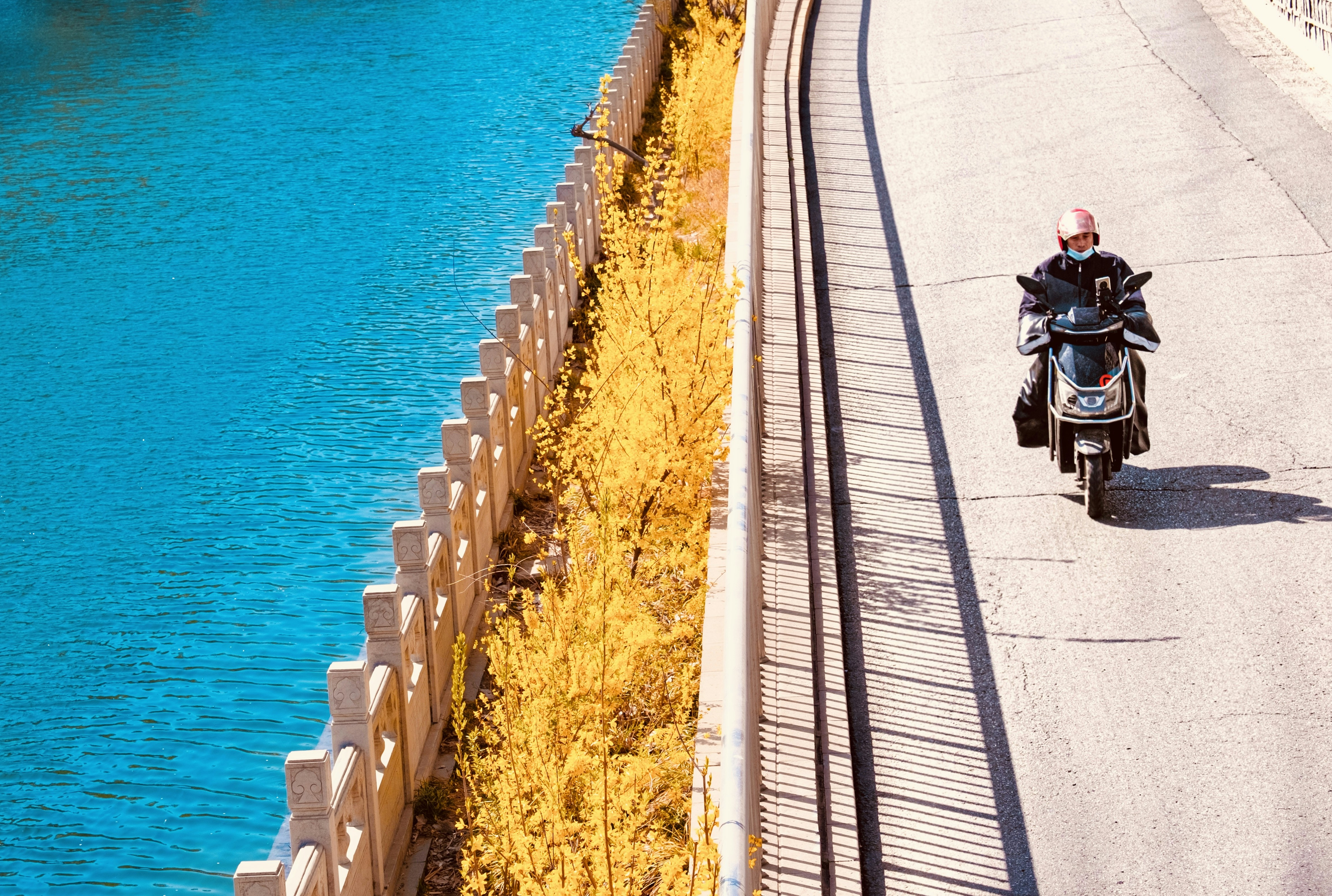 Golden Verge Ride: A Motorcyclist Along a Sunlit Riverside Road