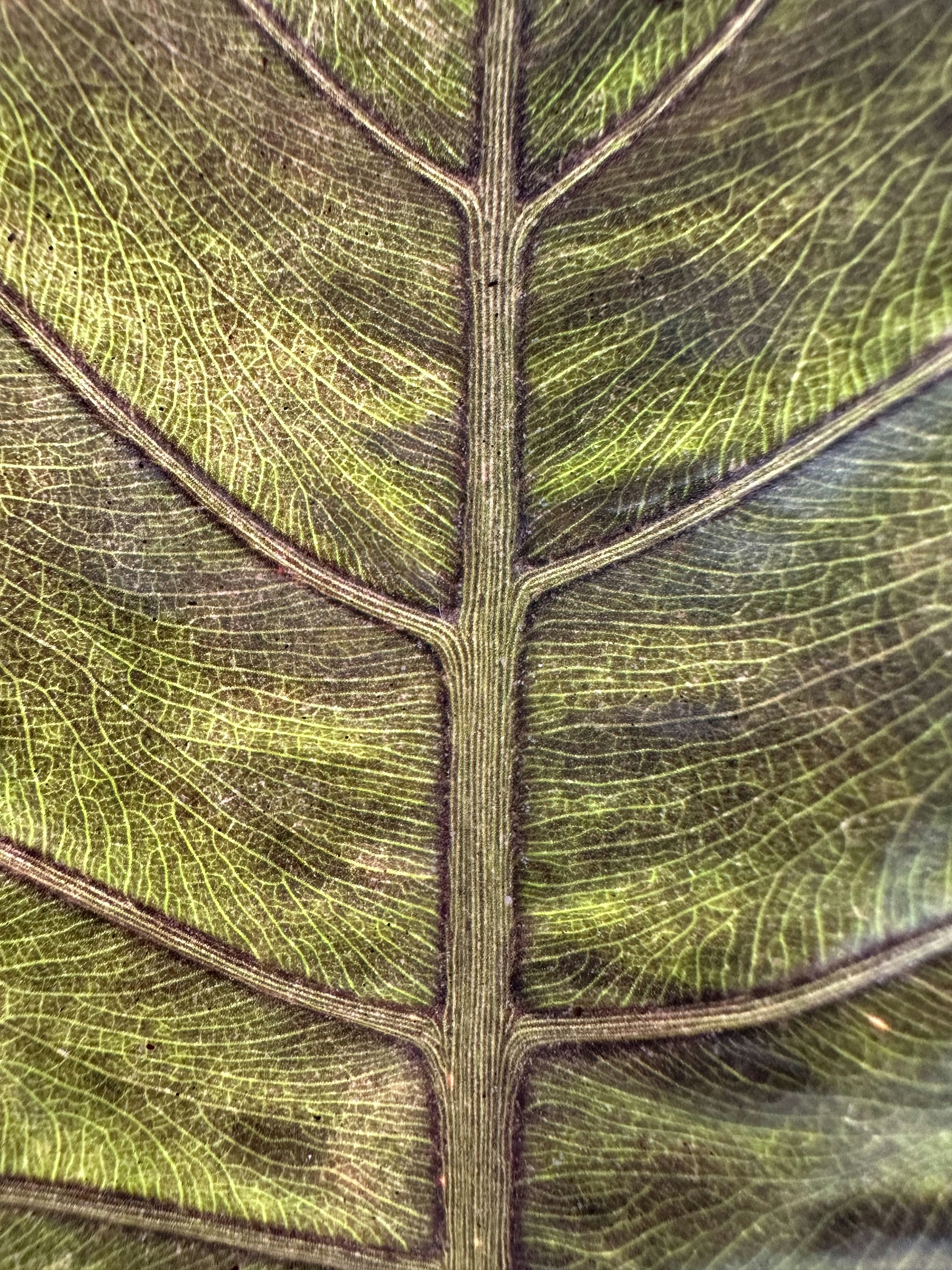 Thomas Yee (@tommsyee) | Unsplash Photo Community