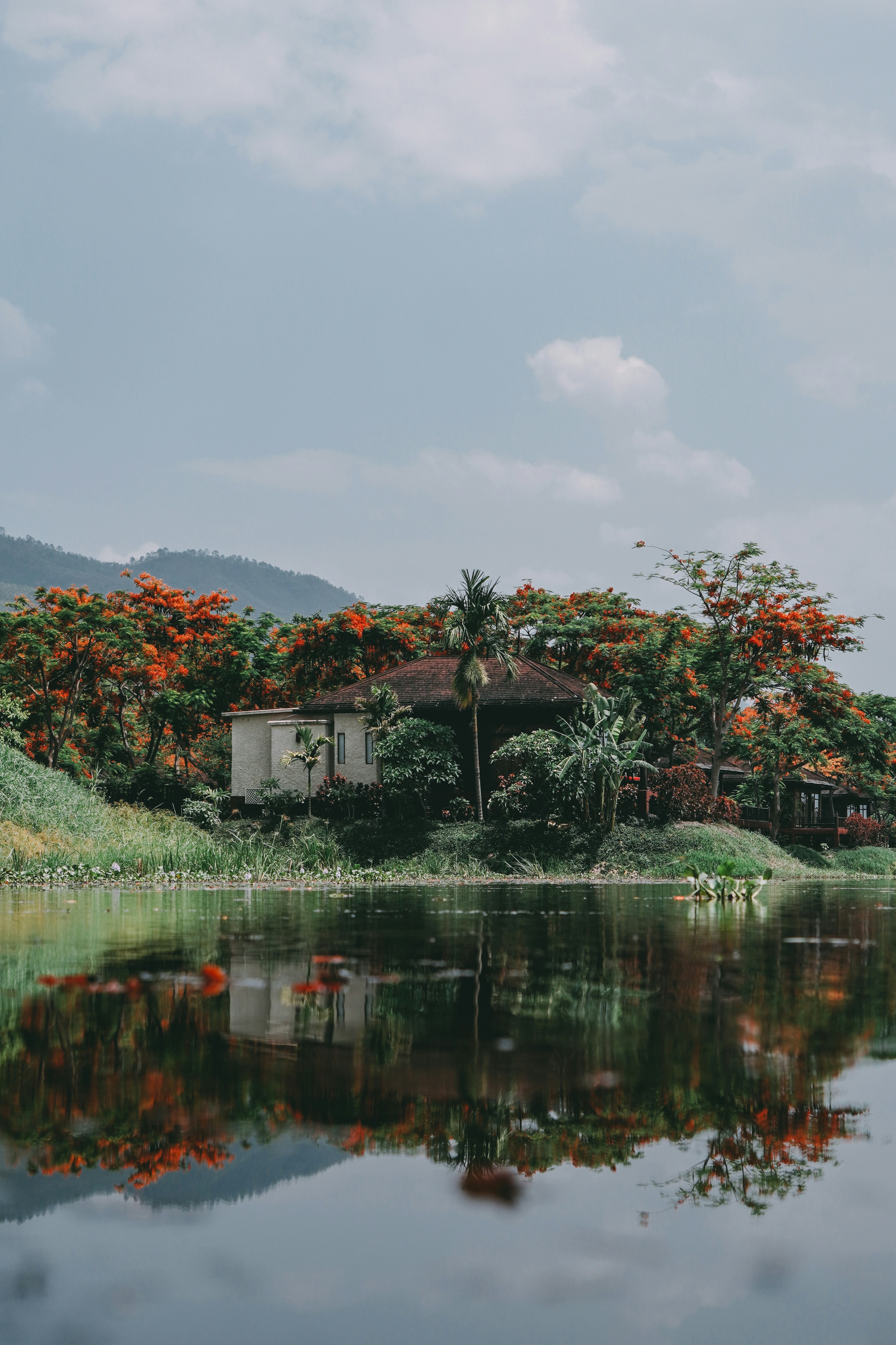 Lakeside Cabin Under a Flame-Color Canopy, Reflected in a Glassy Lake