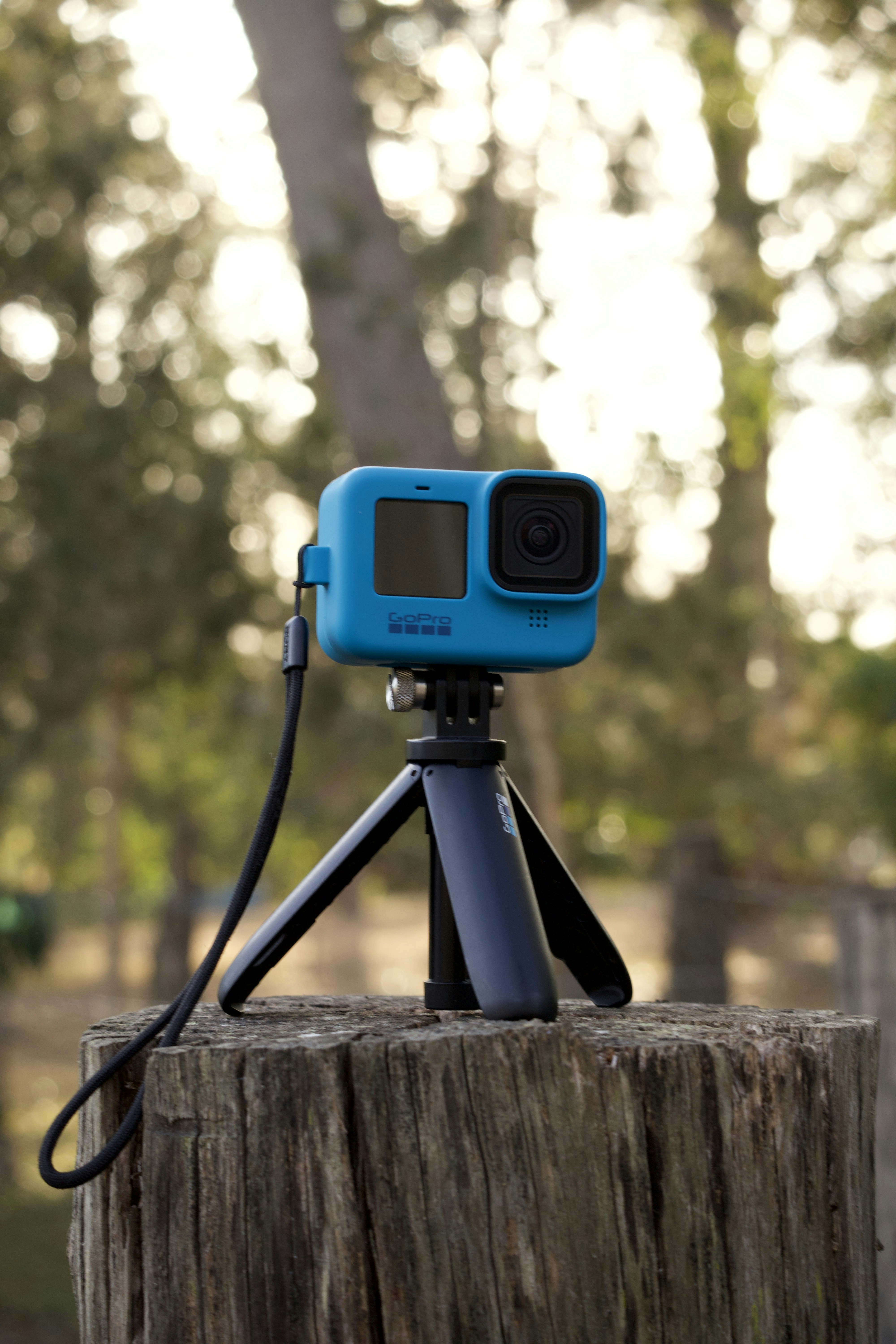Aqua Adventure: The GoPro's Standout Moment