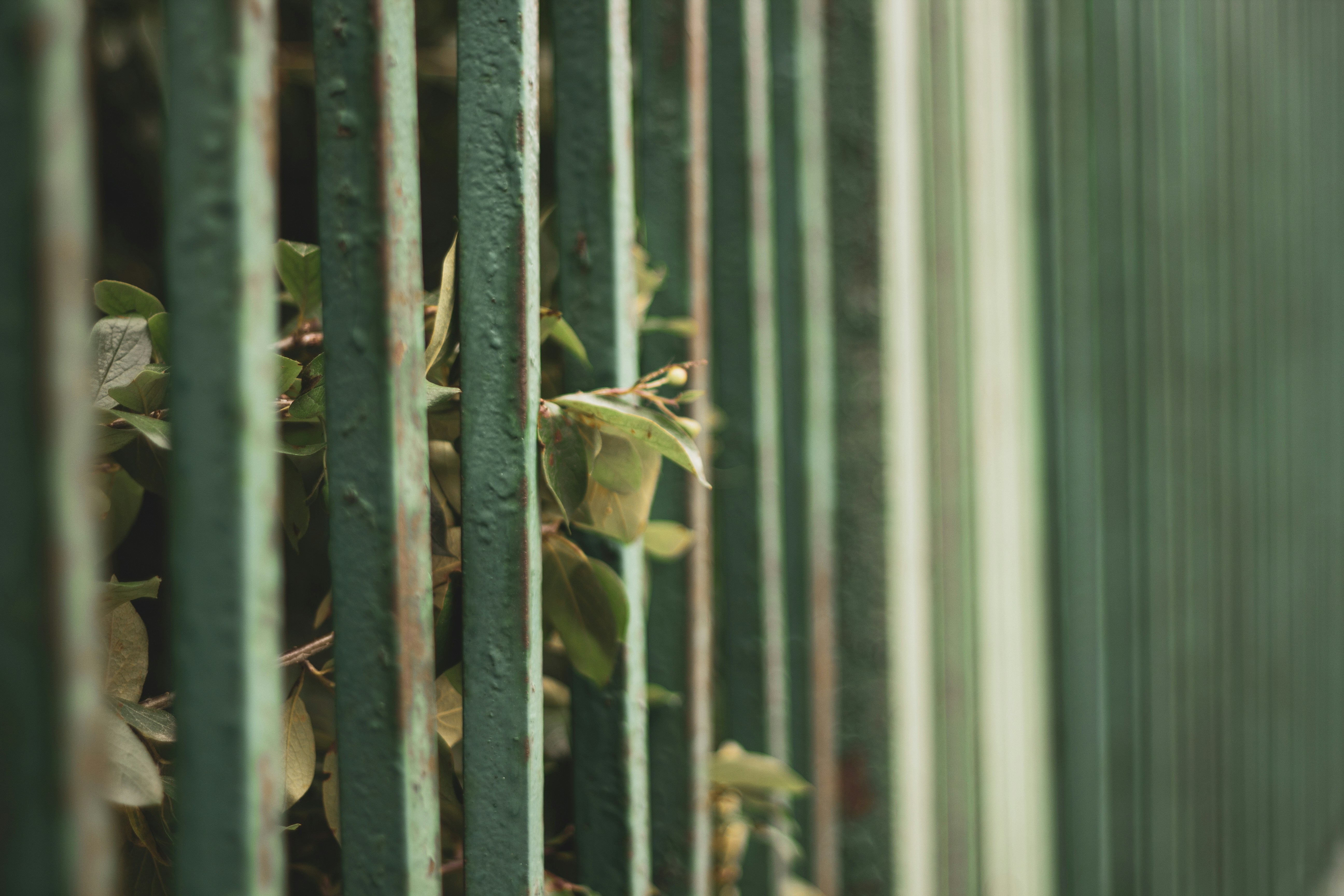 Photo by Alexander Whiteman with Canon EOS 550D