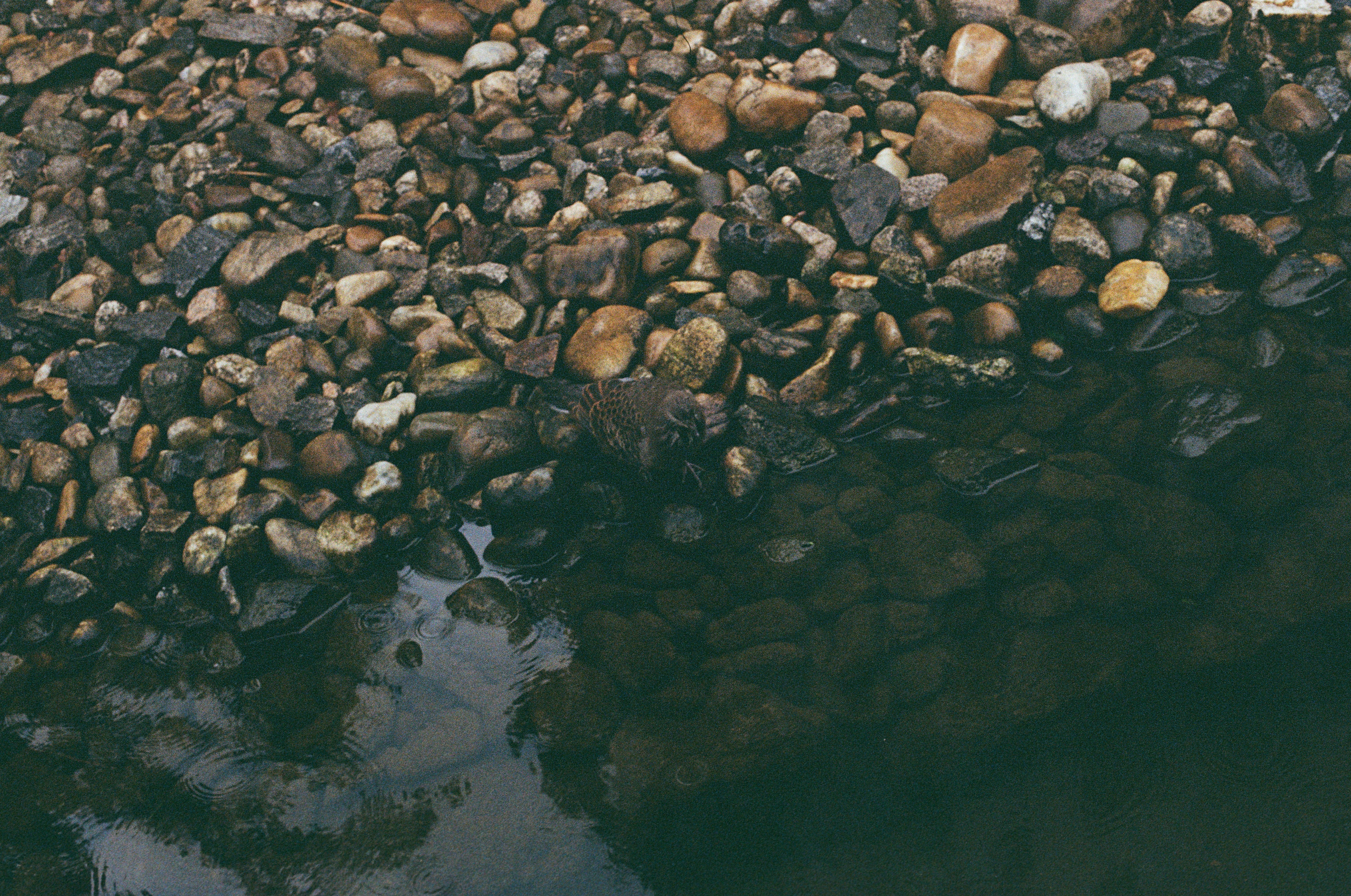A group of rocks sitting on top of a body of water photo – Free 돌 Image ...
