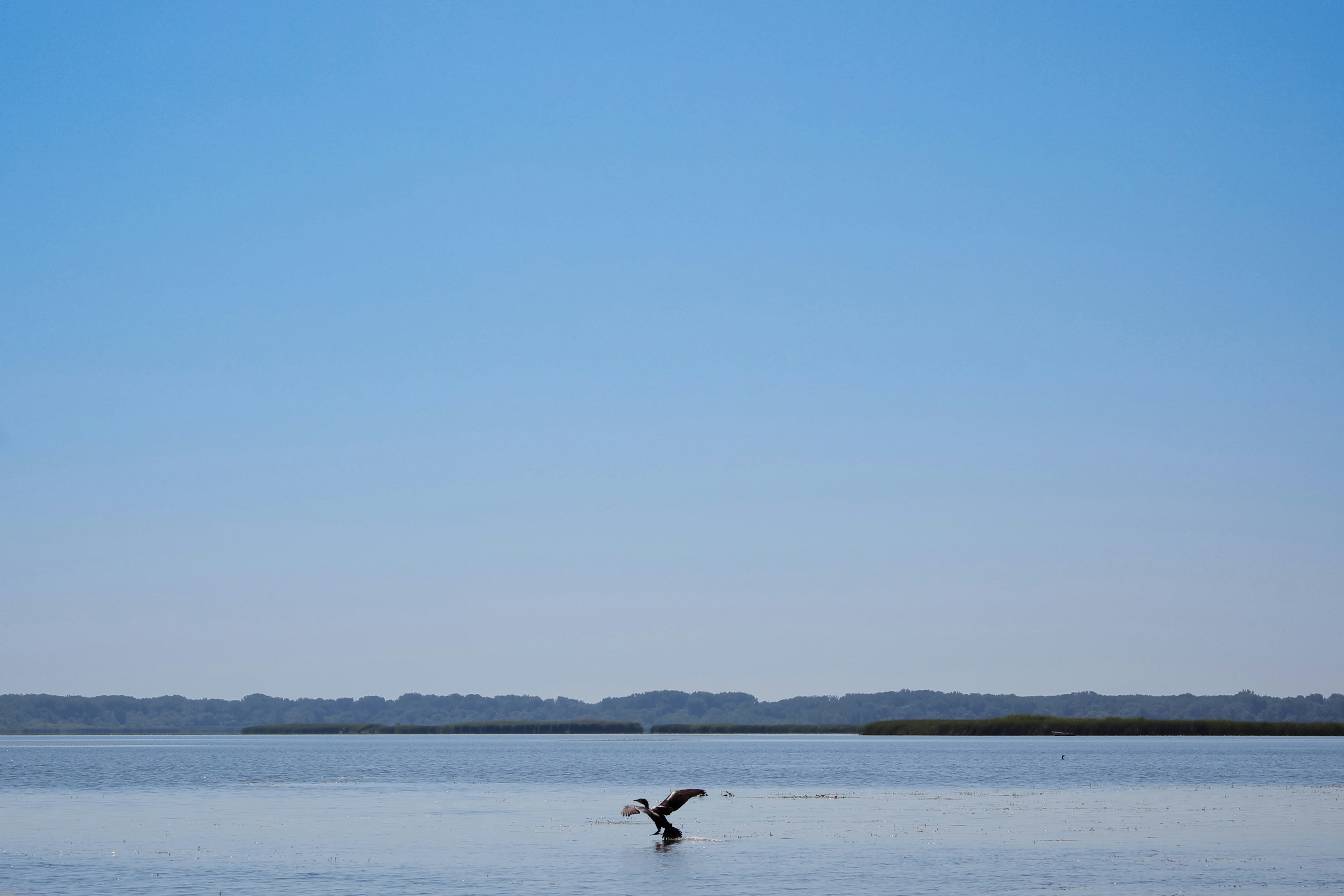 Photo by Katalin with Canon EOS 1300D