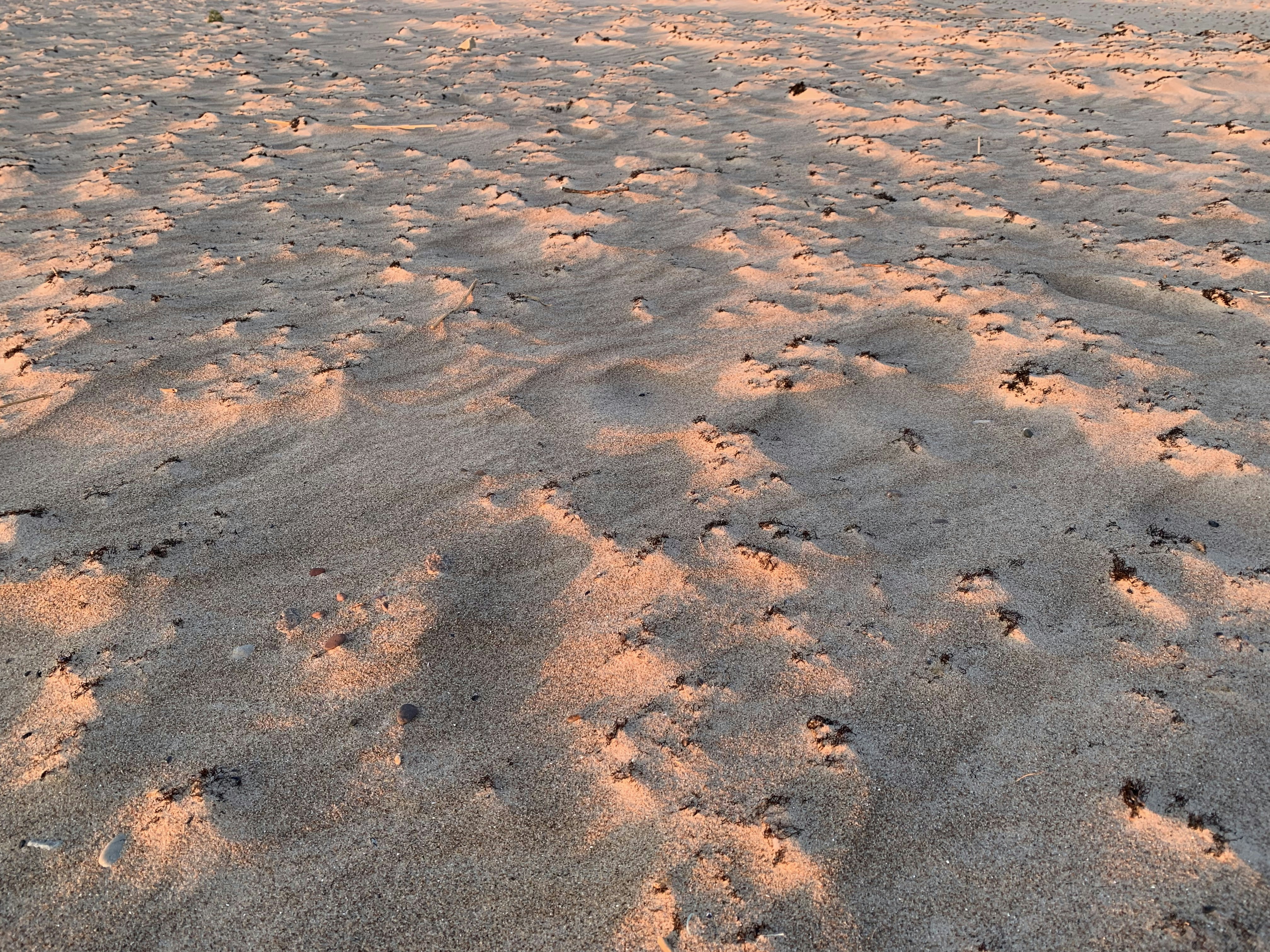 Photo by Krišjānis Kazaks with Apple iPhone XR