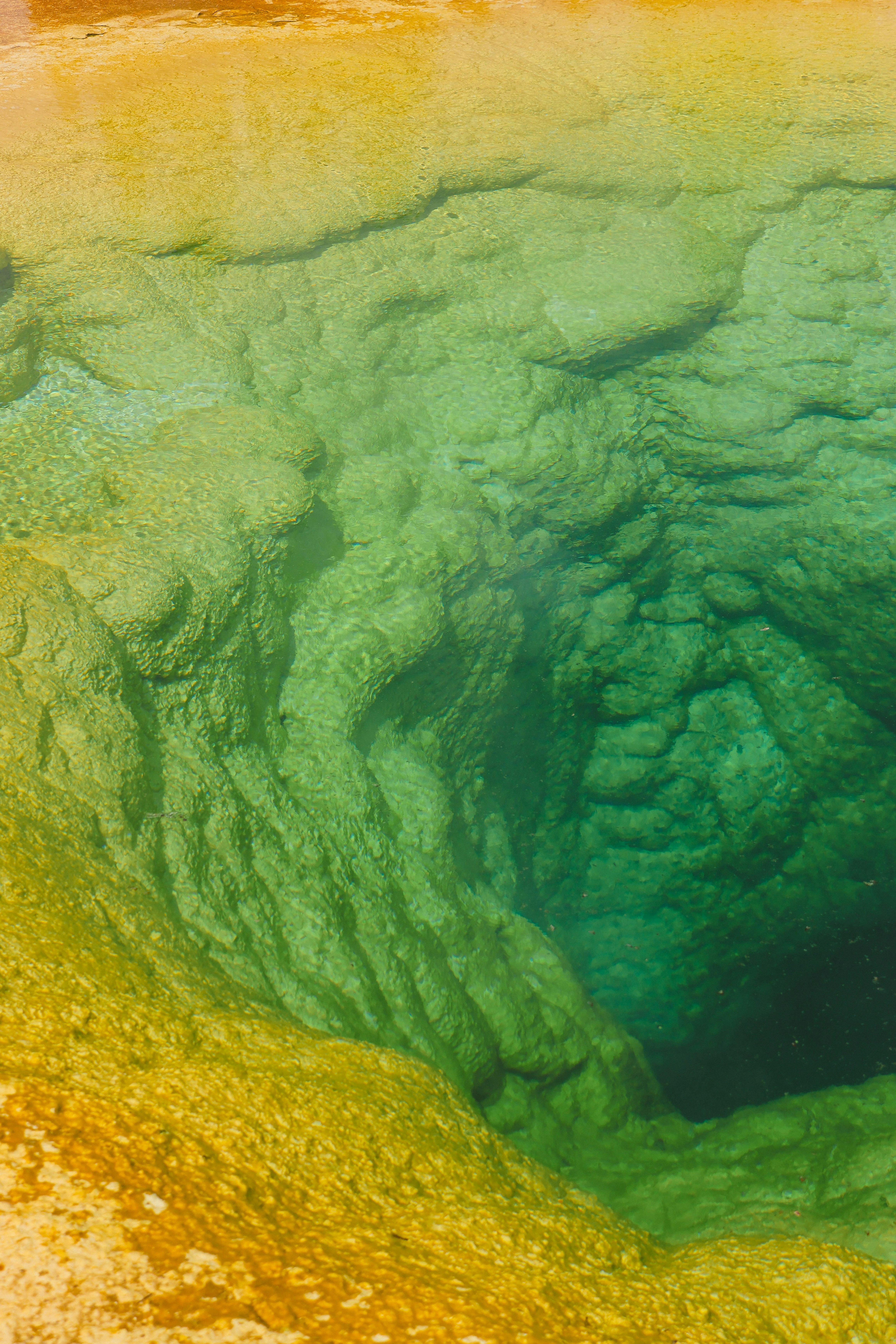 Un grand plan d’eau entouré d’algues jaunes et vertes photo – Photo Le ...
