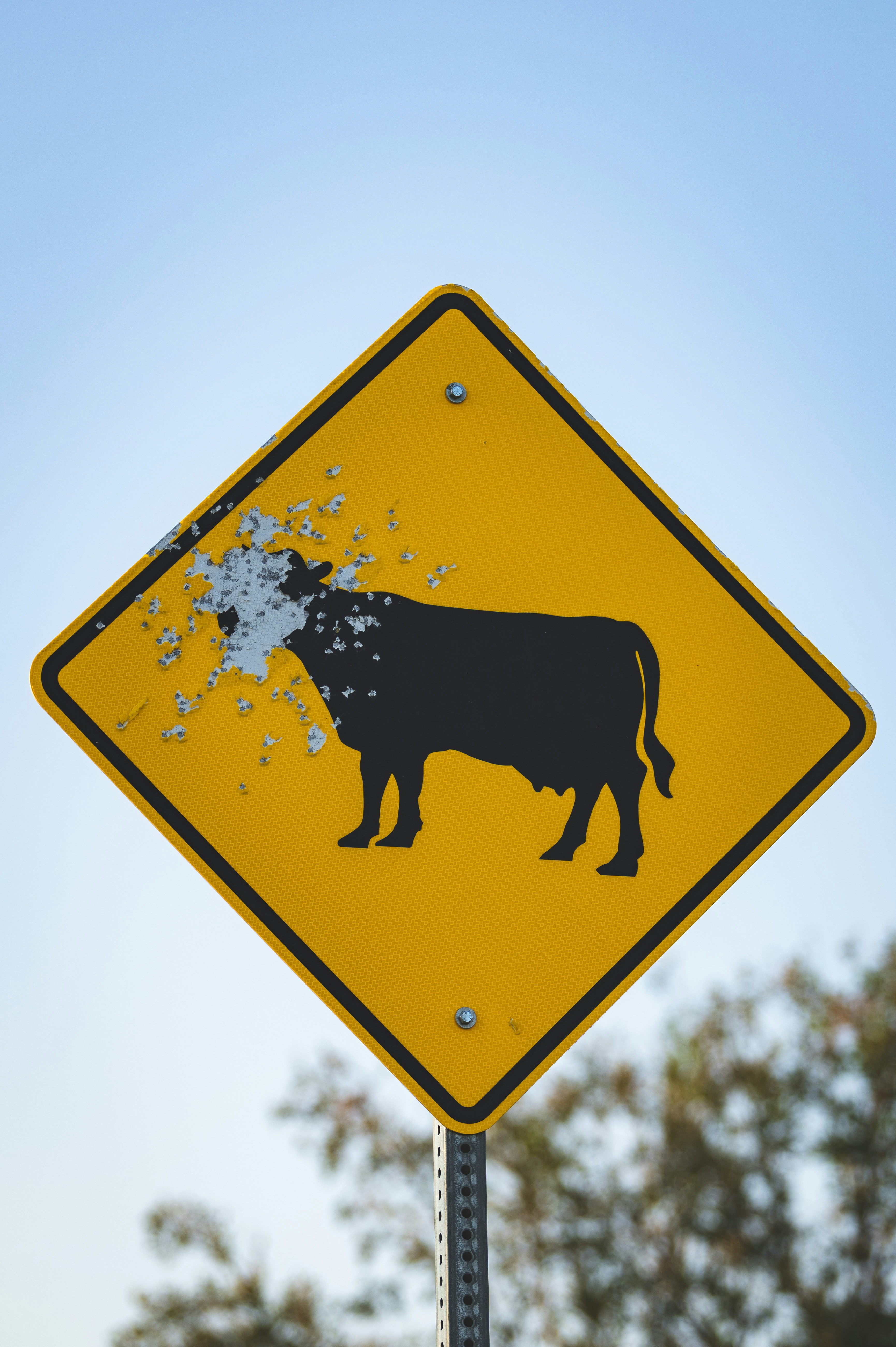 Photo by Jon Sailer with Nikon D850