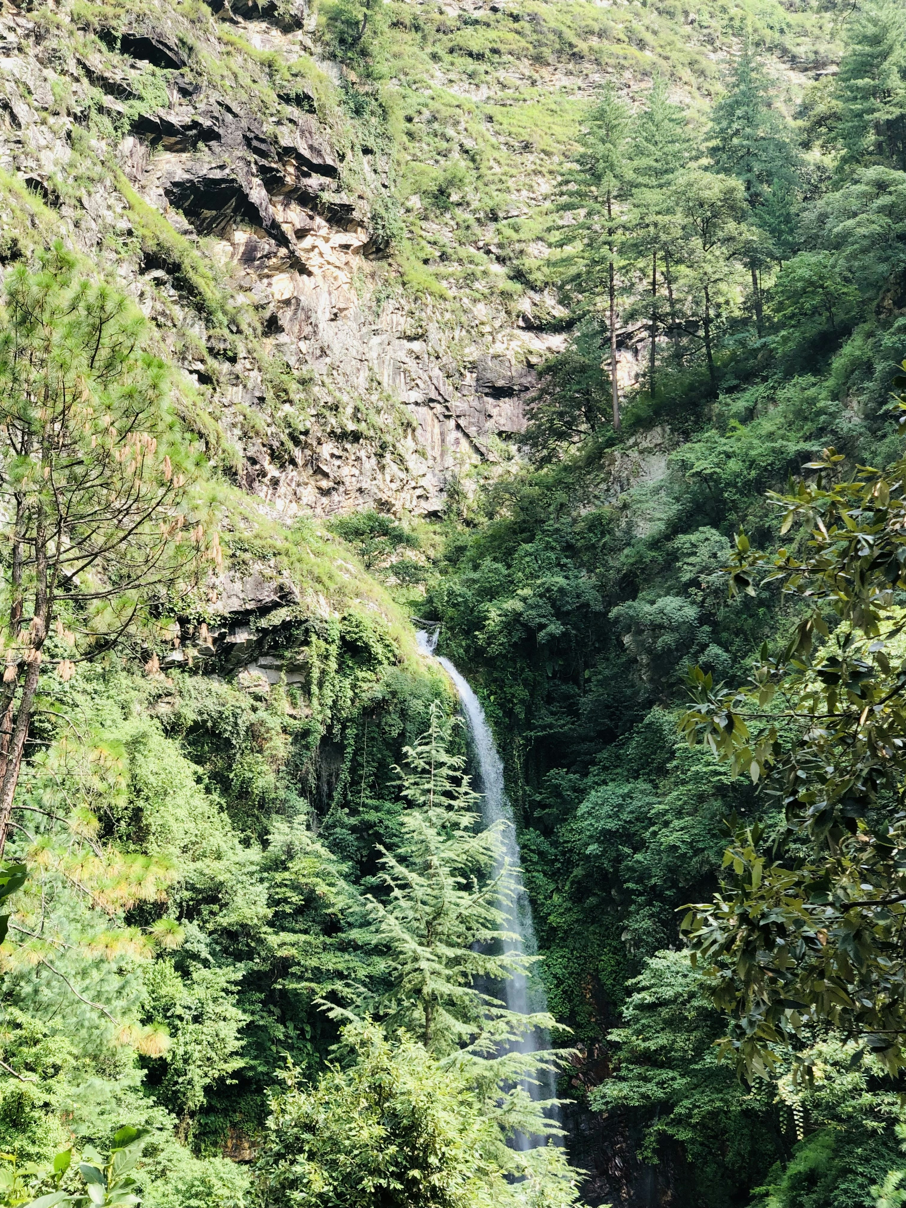A waterfall in the middle of a lush green forest photo – Free Kullu ...