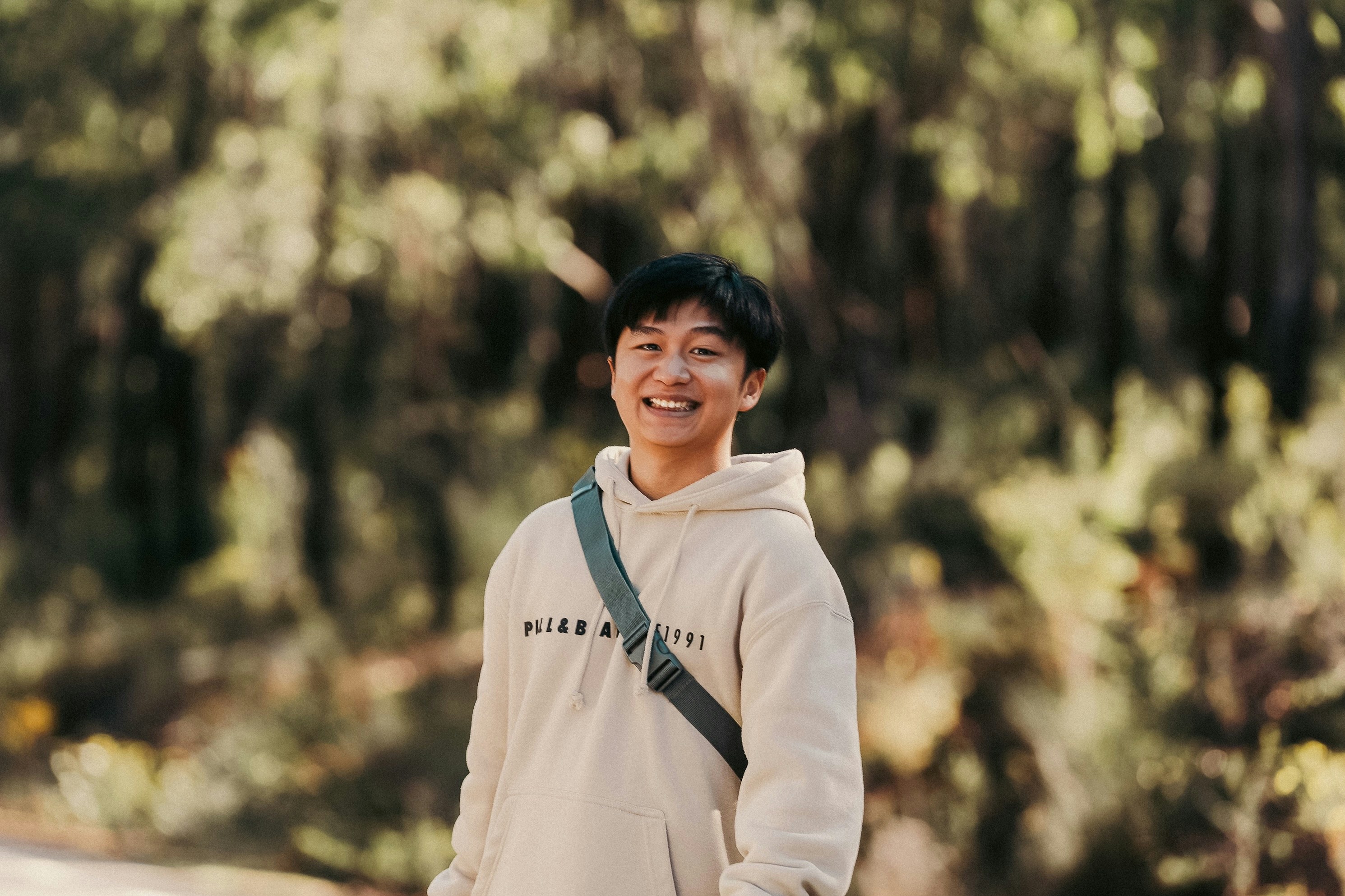 Woodland Wanderer in Serene Light