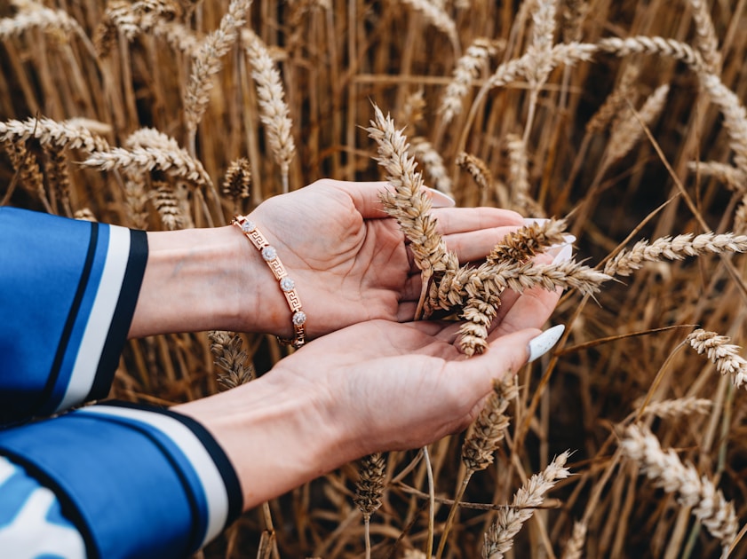 "Why Durum Wheat Pasta Deserves a Spot on Your Plate" | Noor Brands