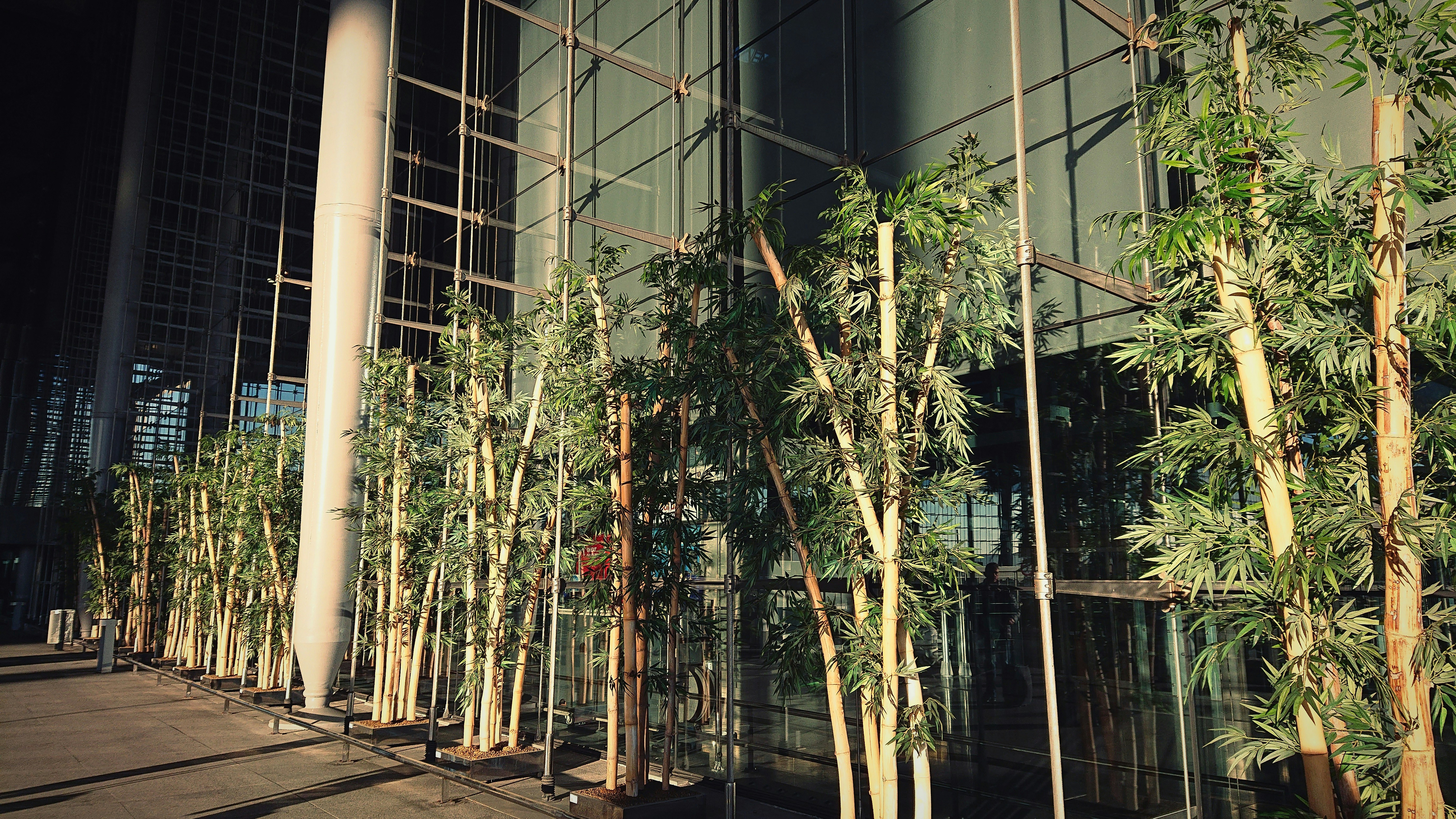 Sample photo from Sony Xperia XZ2