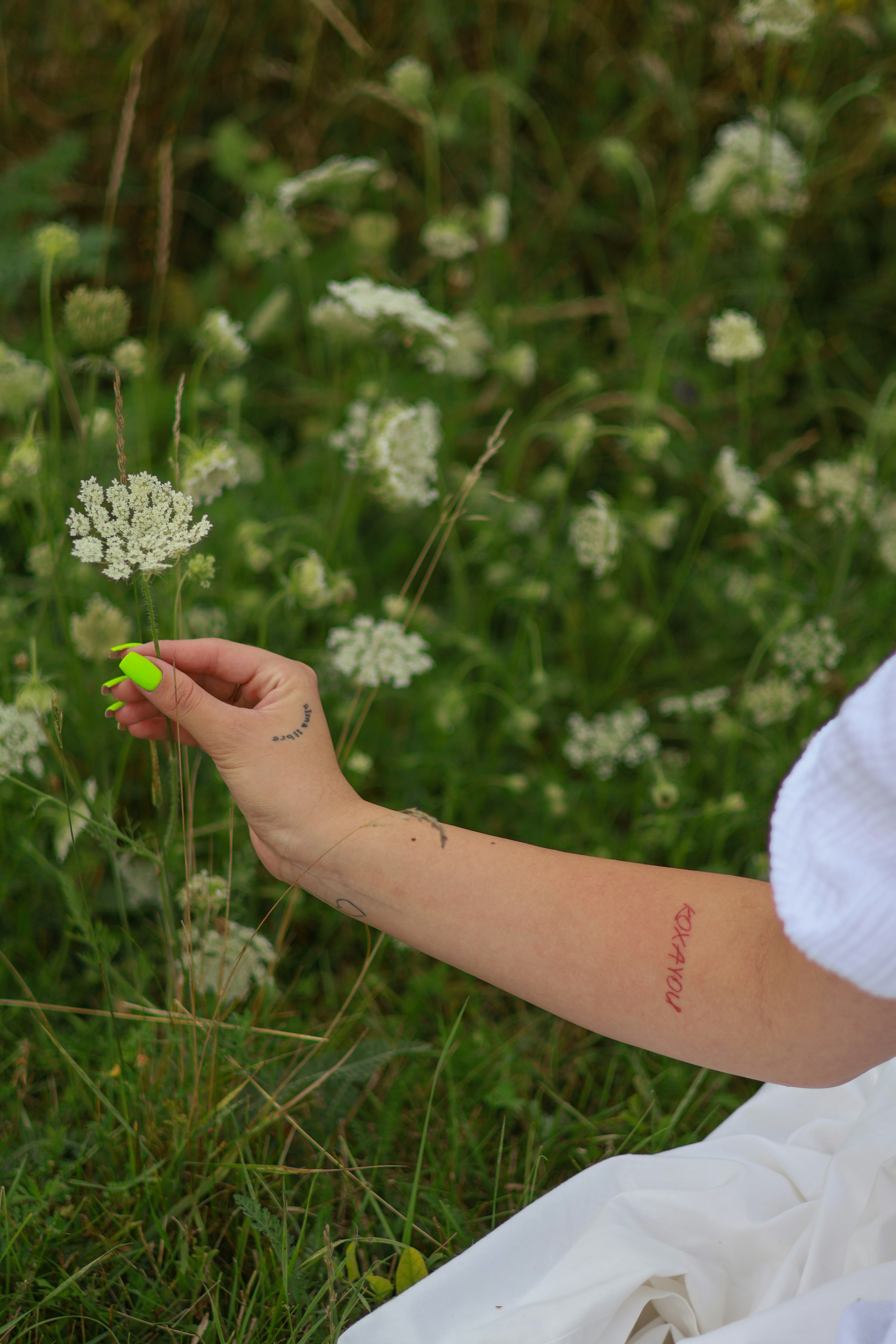 Ink and Blooms: A Hand Reaches for Wildflower White in a Meadow