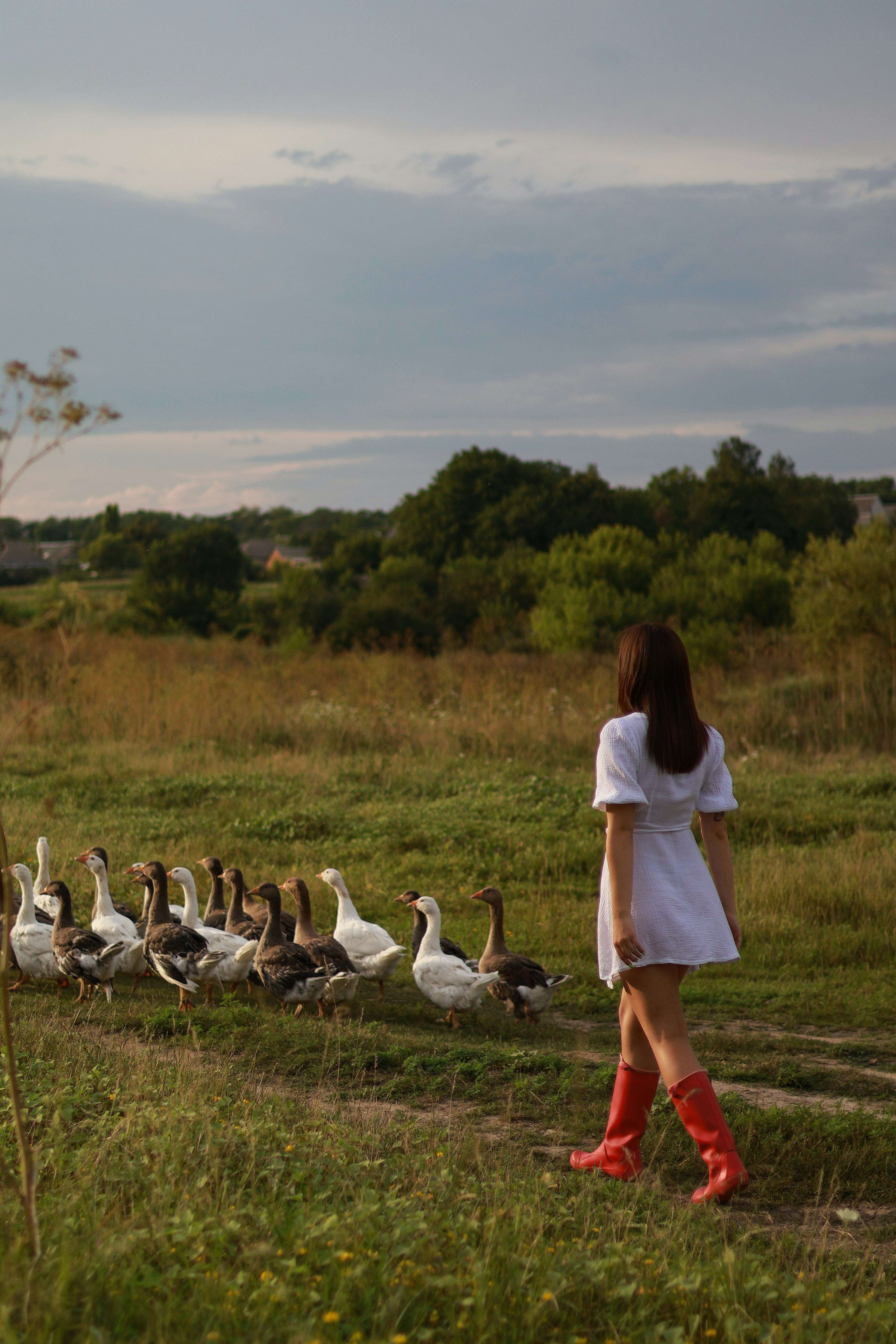 Young woman in a white dress and red boots walks through a grassy field as a line of geese pass by under a cloudy sky.