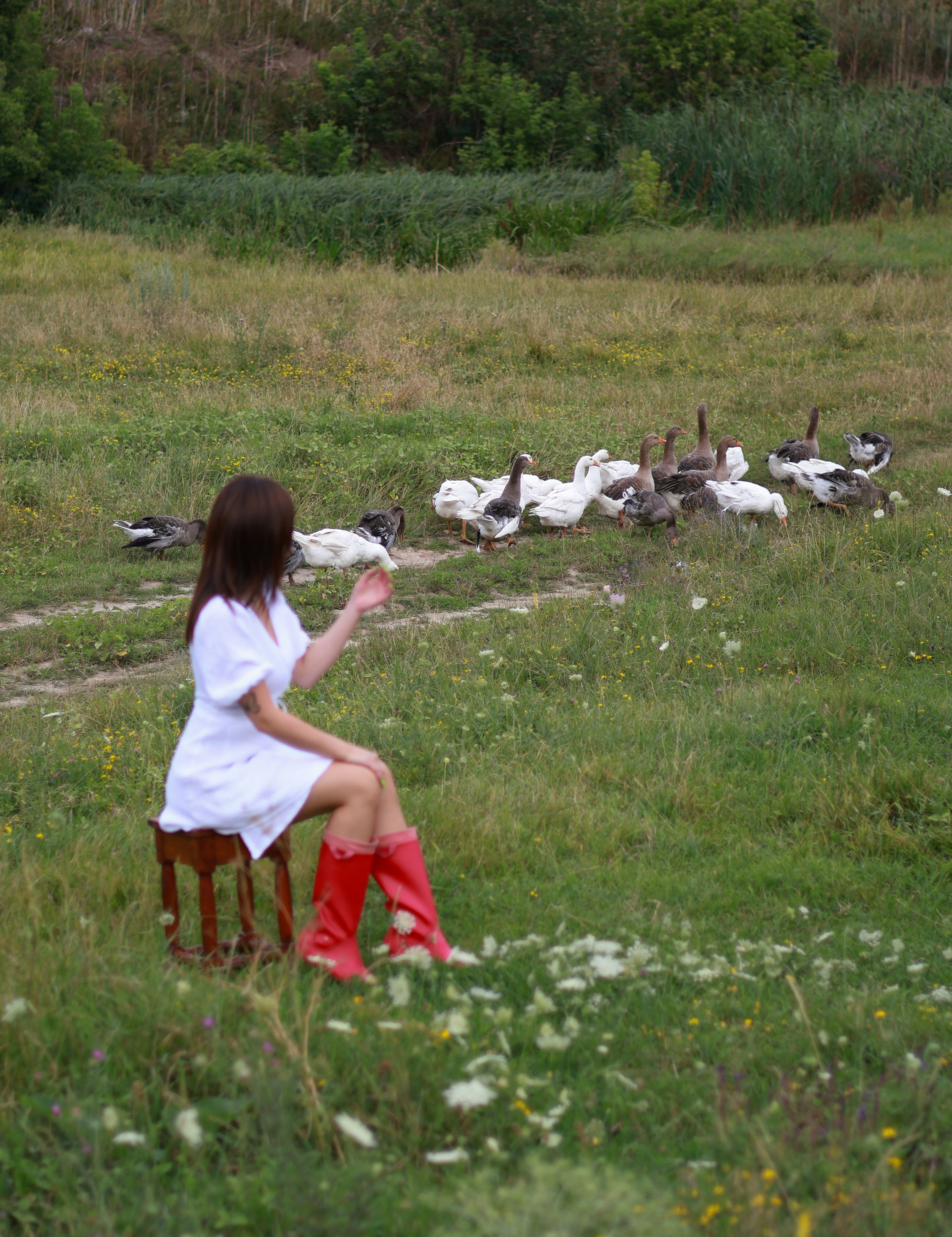 A little girl sitting on a chair in a field photo – Free Portrait Image ...