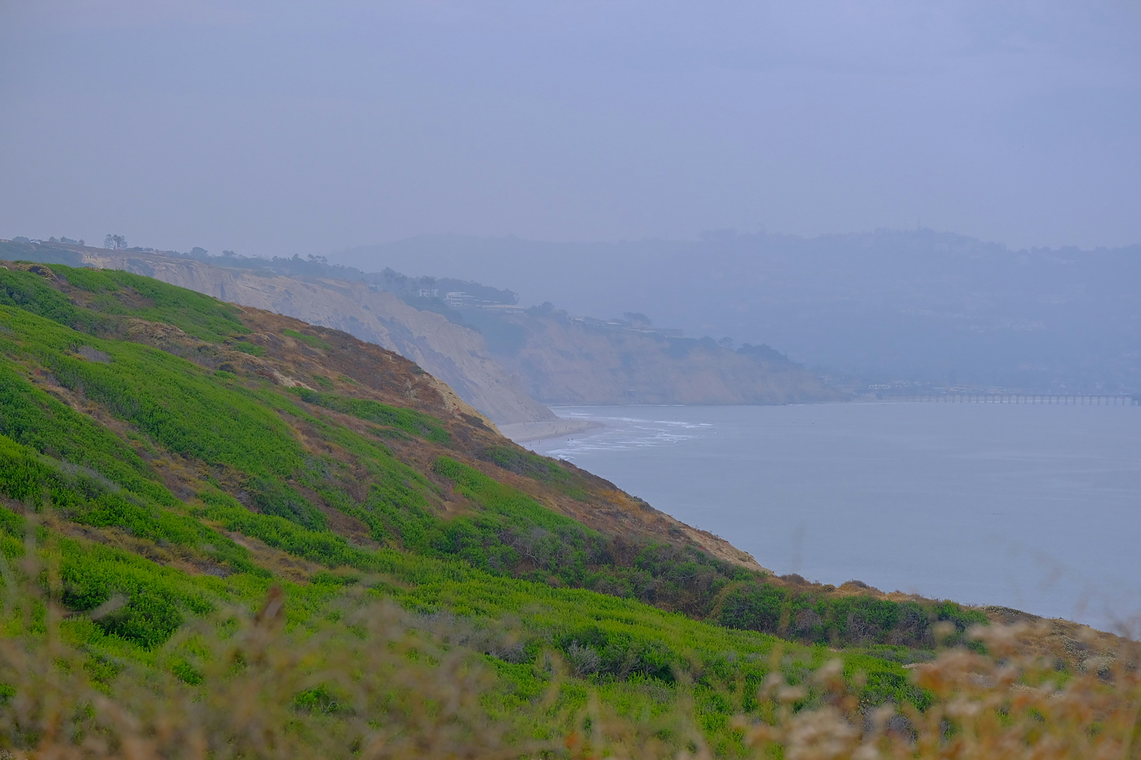 Mist-Laced Coastal Hills: Green Foothills Meet a Quiet Sea