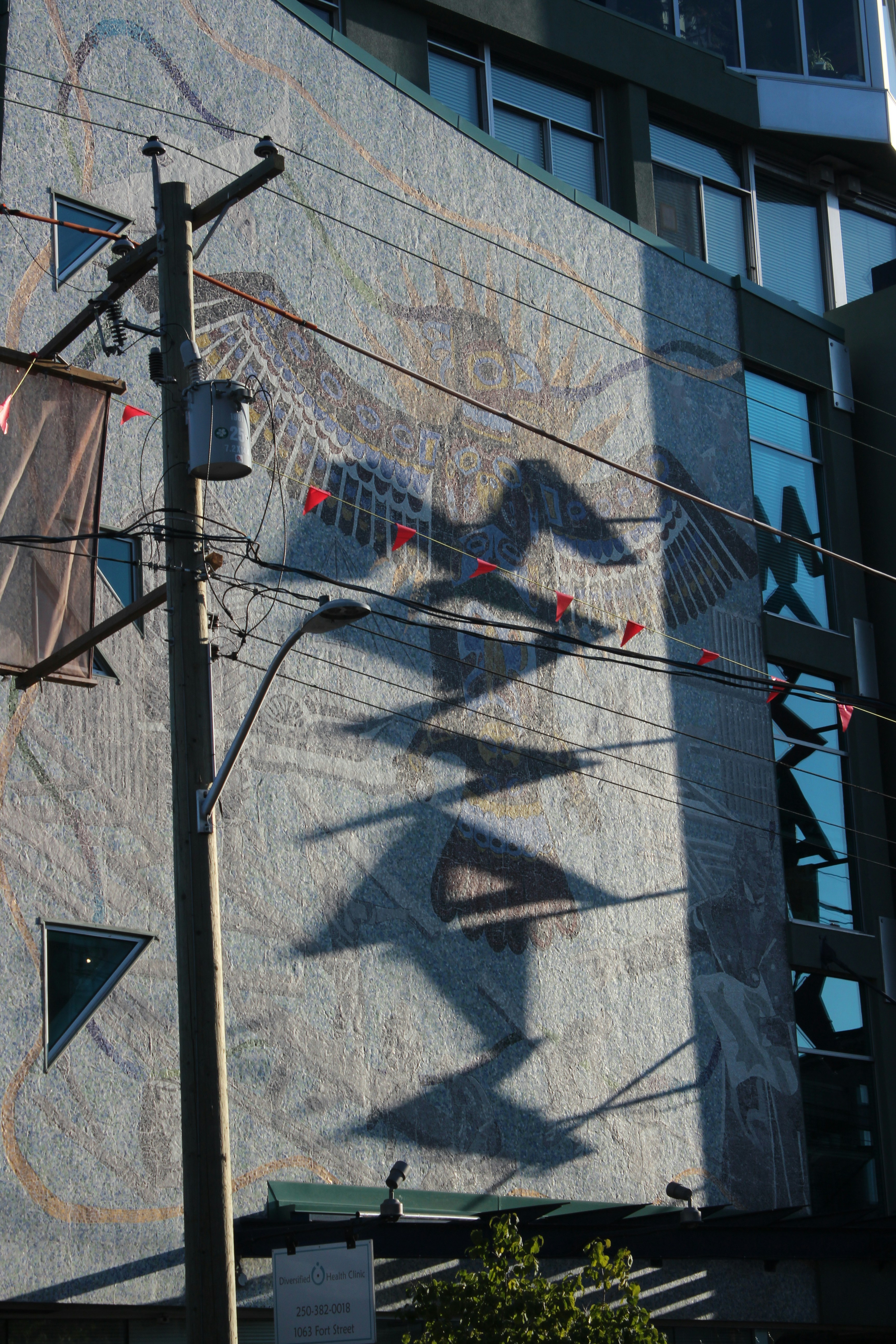 Winged Sentinel on a Concrete Canvas